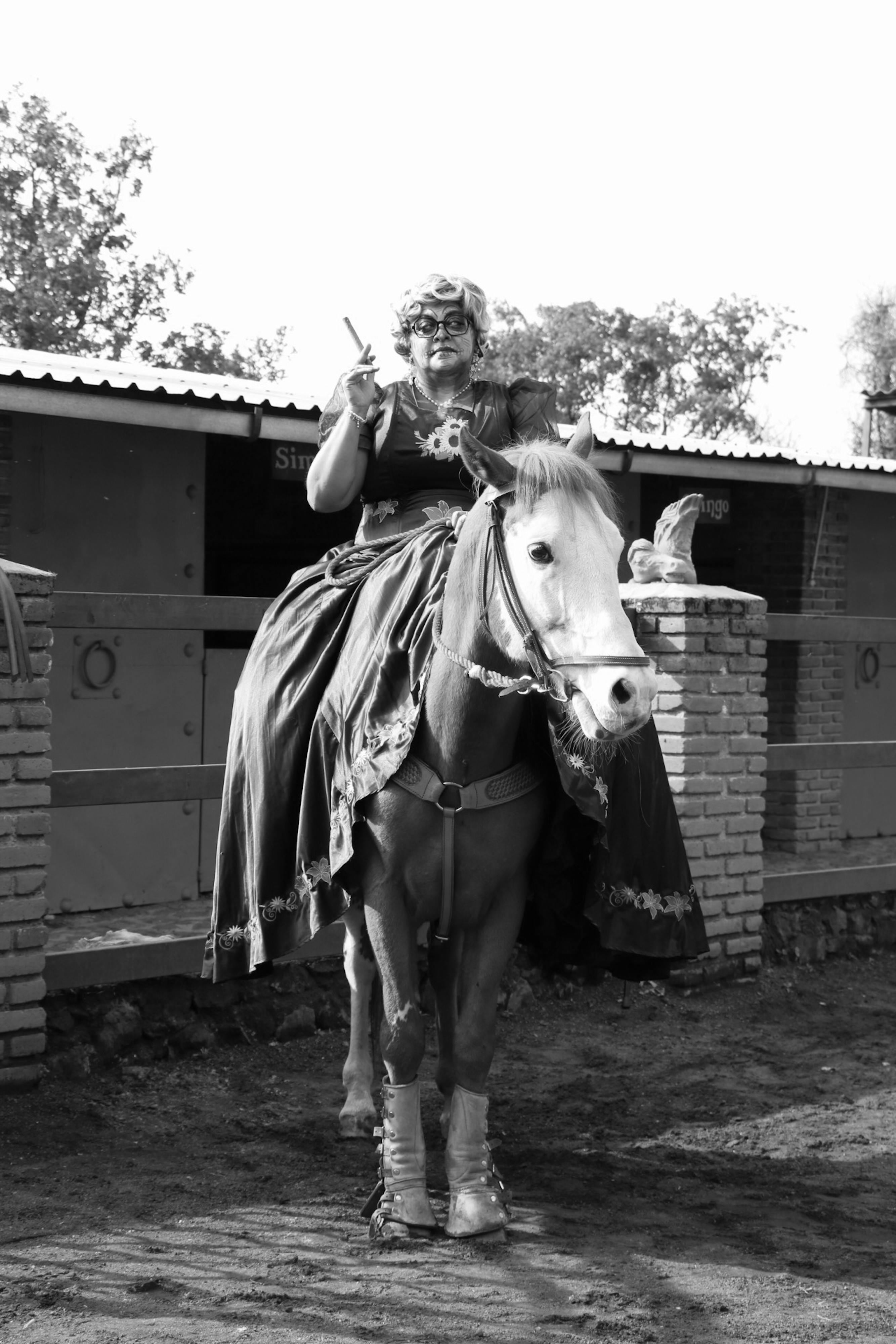 Pittsburgh Knight Photos, Download The BEST Free Pittsburgh Knight ...