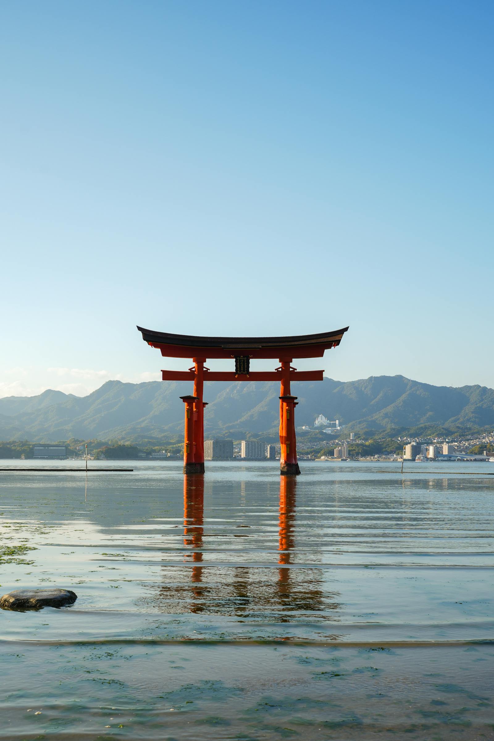 Hd Minimal Black&White Japanese Torii Gate (4k) Photos, Download The ...