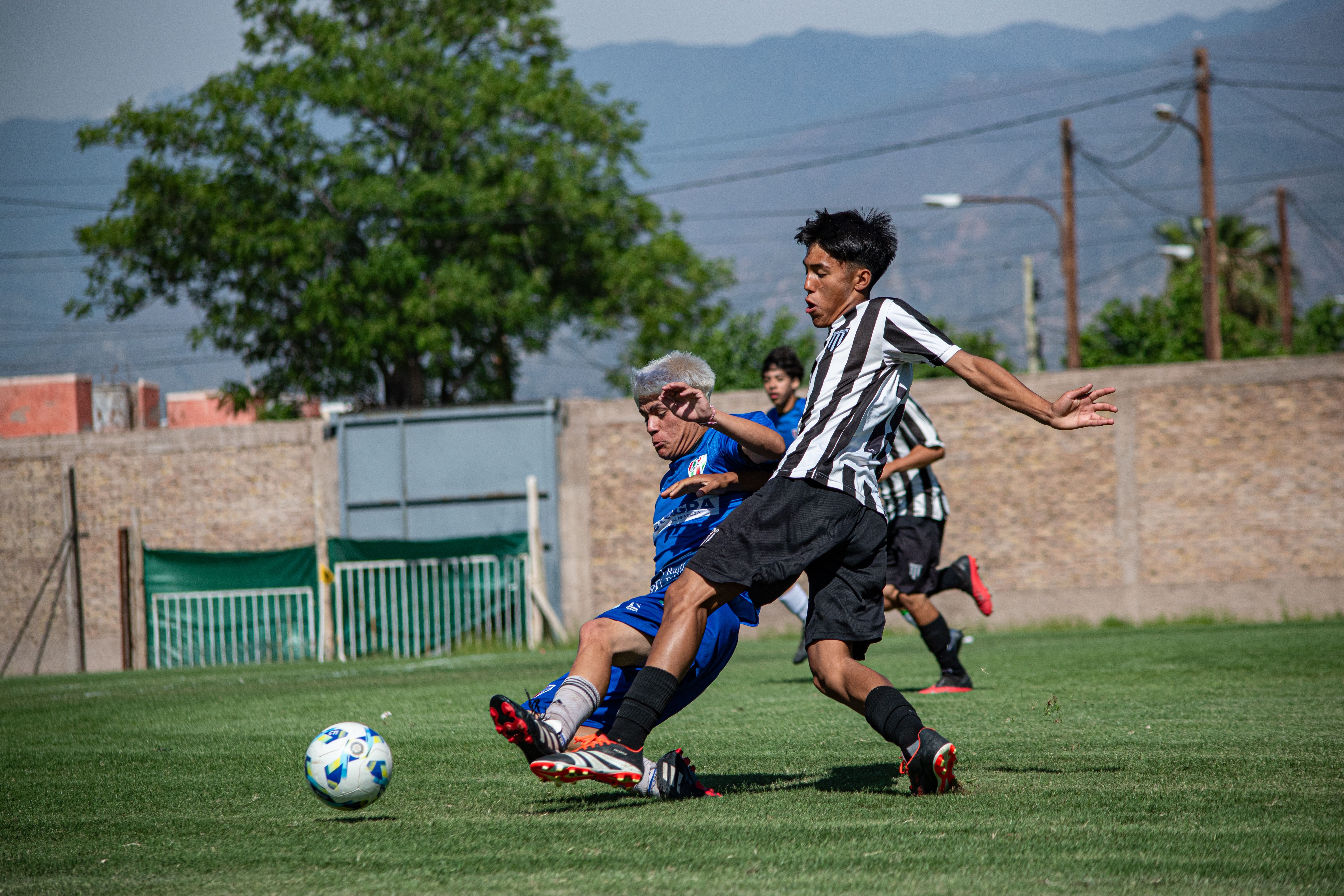 Intense Soccer Match Action on Grass Field · Free Stock Photo
