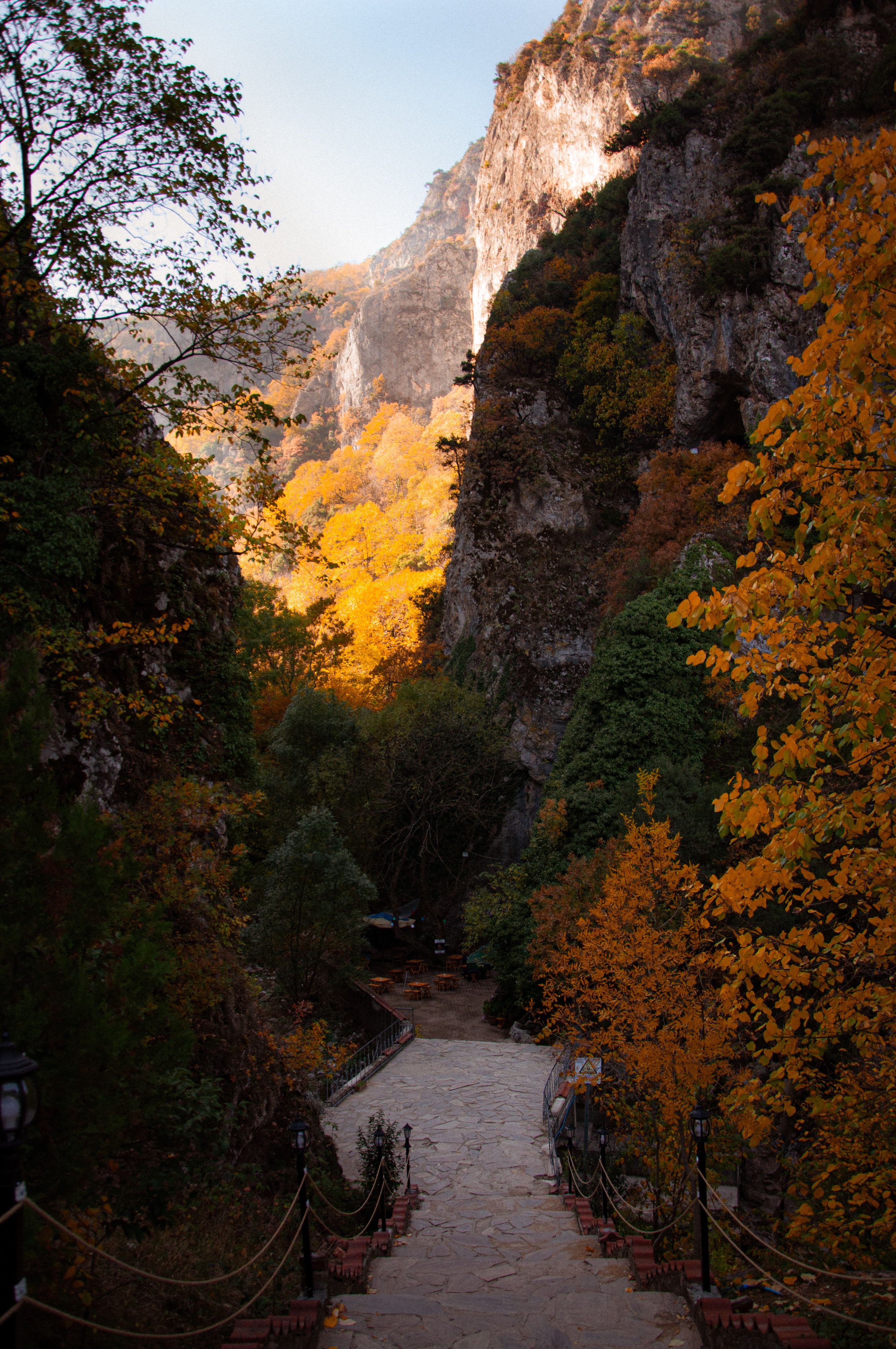 Scenic Mountain Path in Vibrant Autumn Foliage · Free Stock Photo