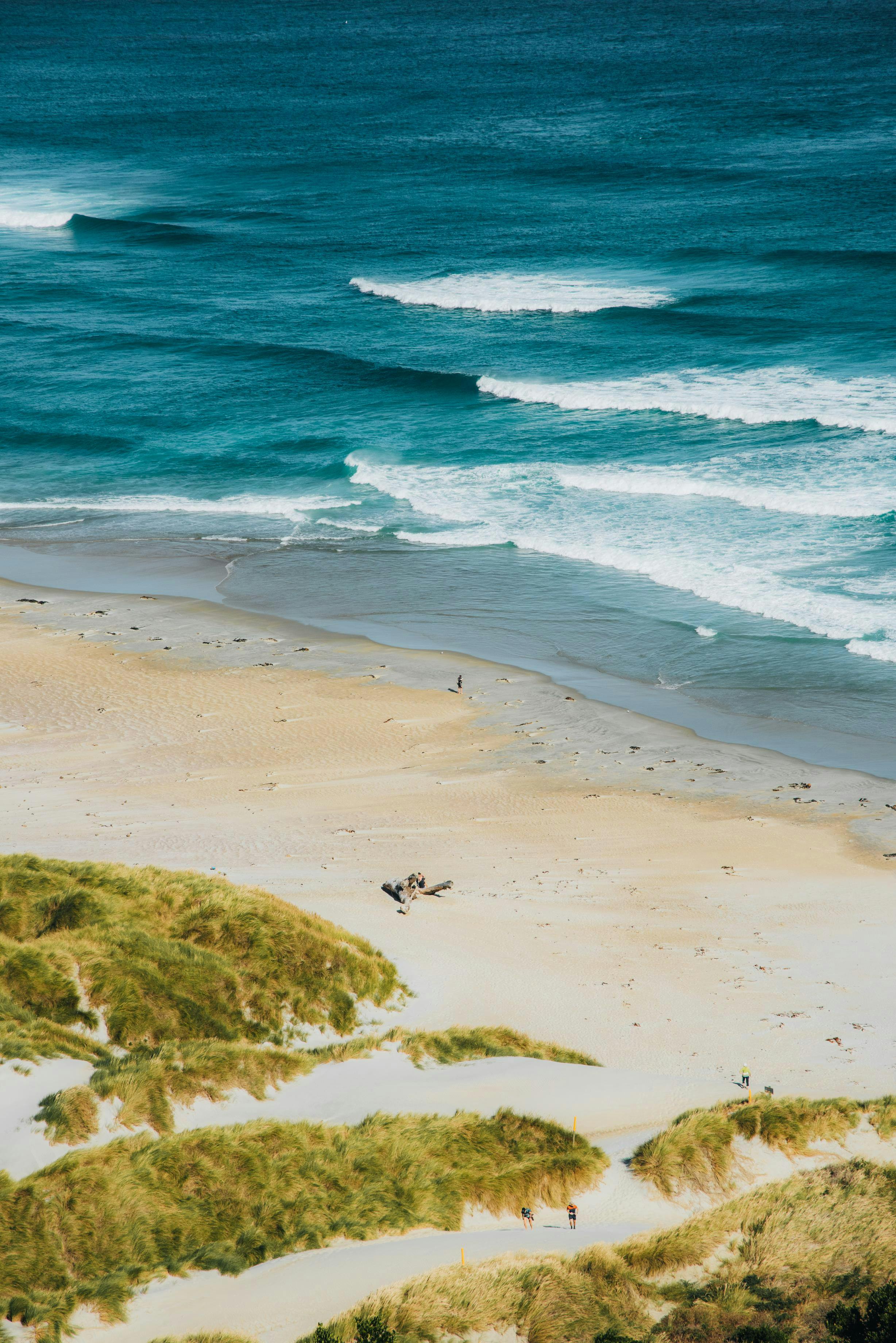 Aerial Beach View with Waves and Sand Dunes · Free Stock Photo