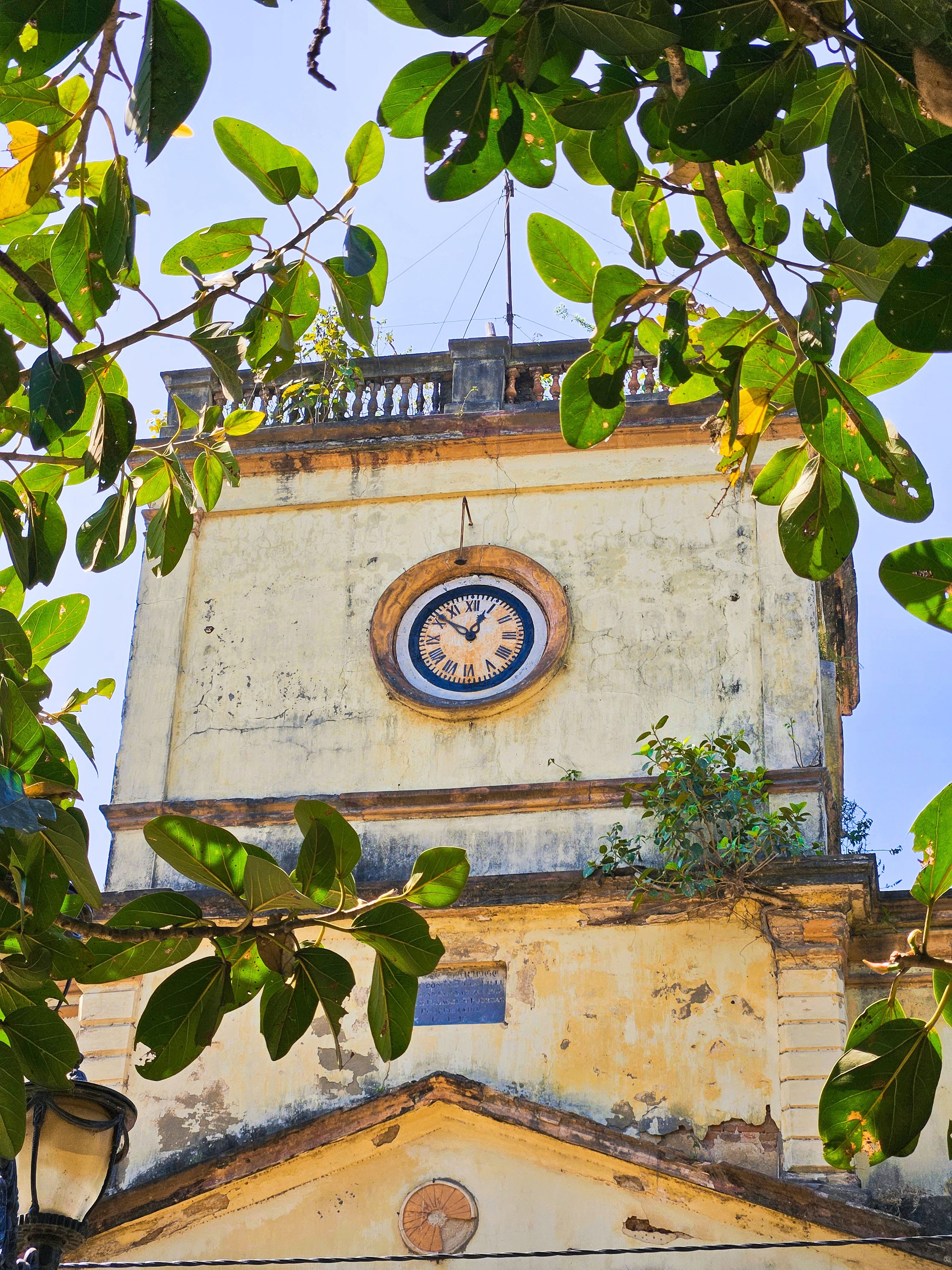 Goa Korumasi Photos, Download The BEST Free Goa Korumasi Stock Photos ...