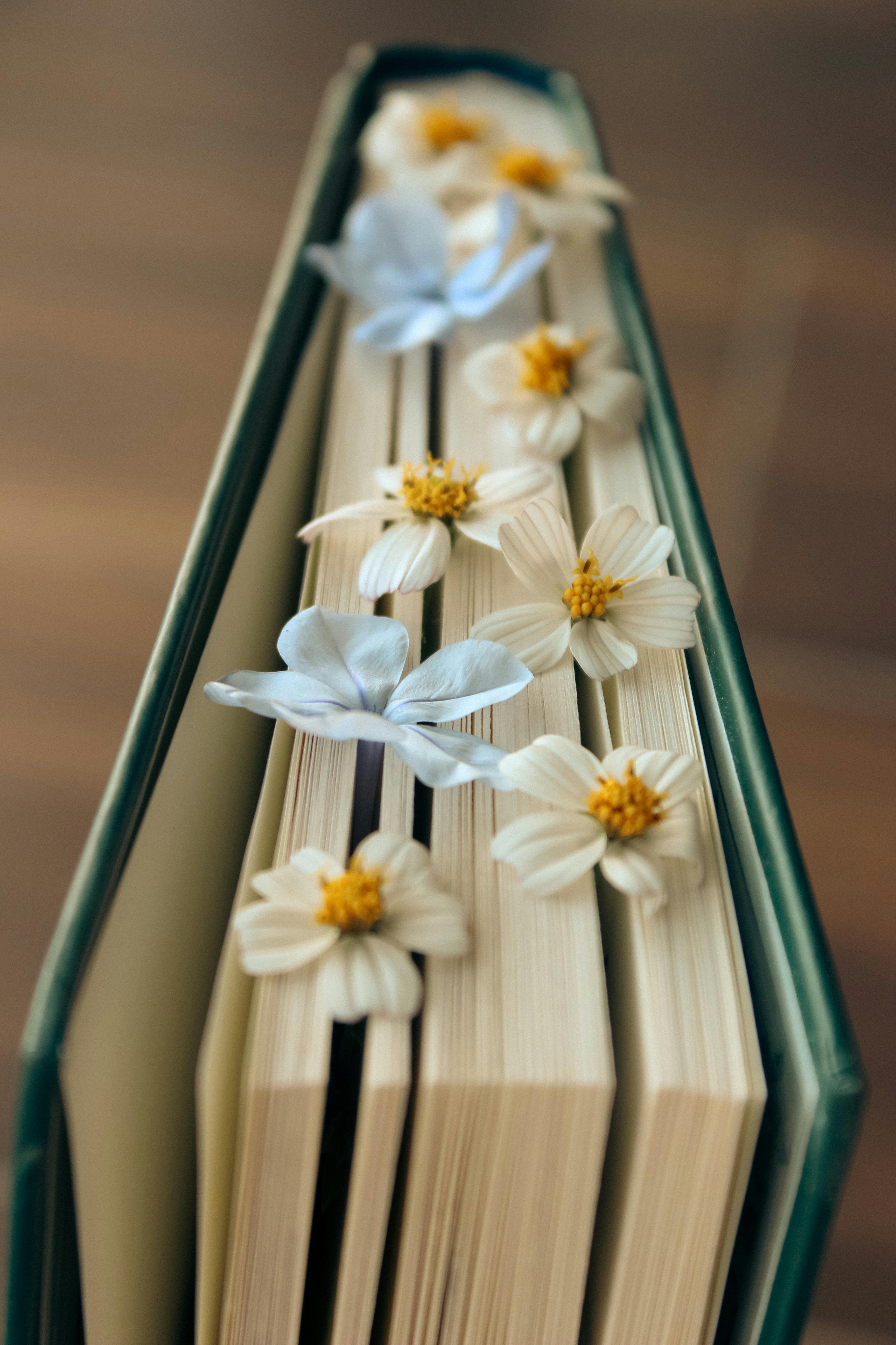 Selective Focus Photography of Purple Flowers on Book Page · Free Stock ...