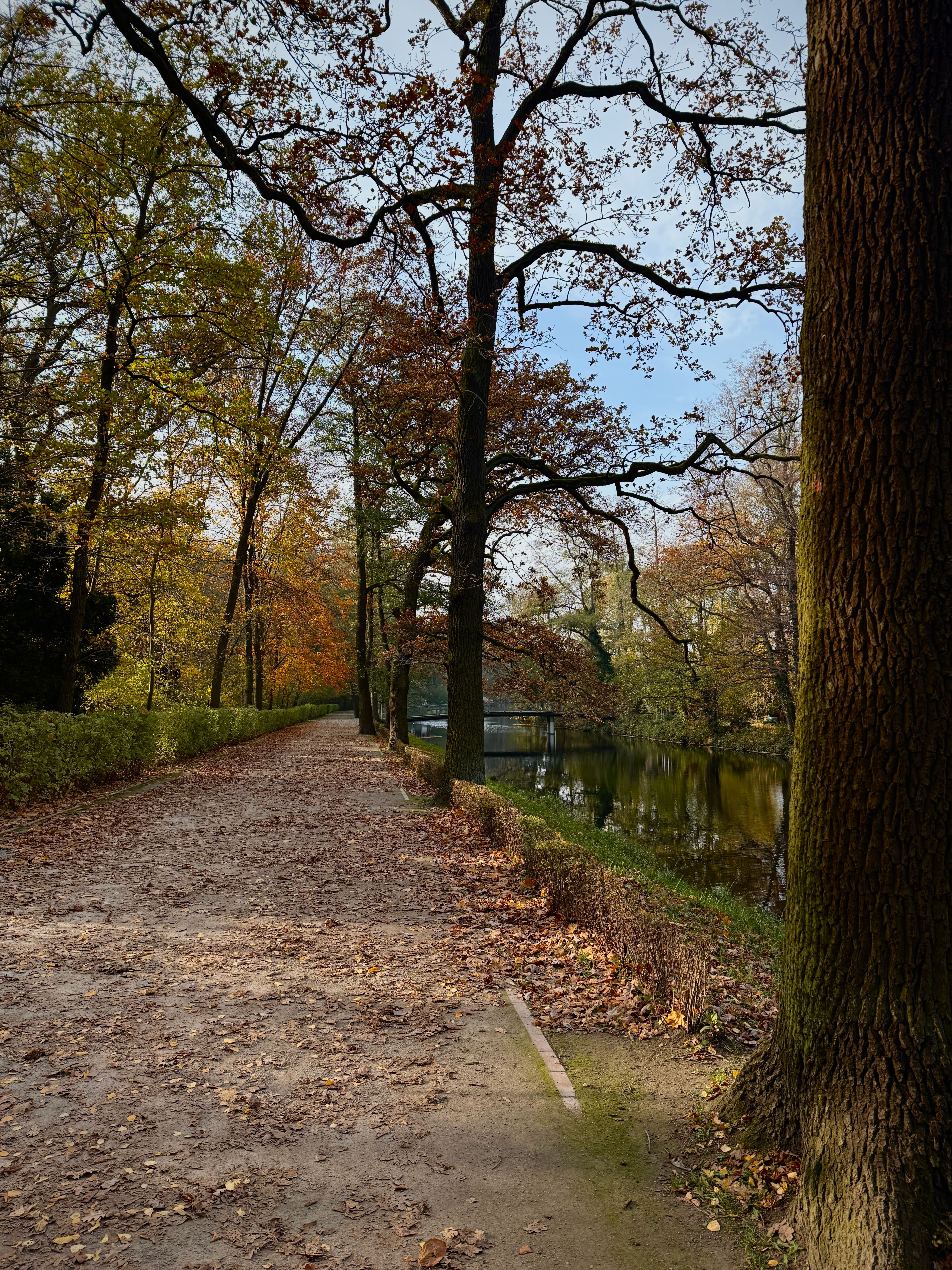 Scenic Autumn Pathway in Berlin Park · Free Stock Photo