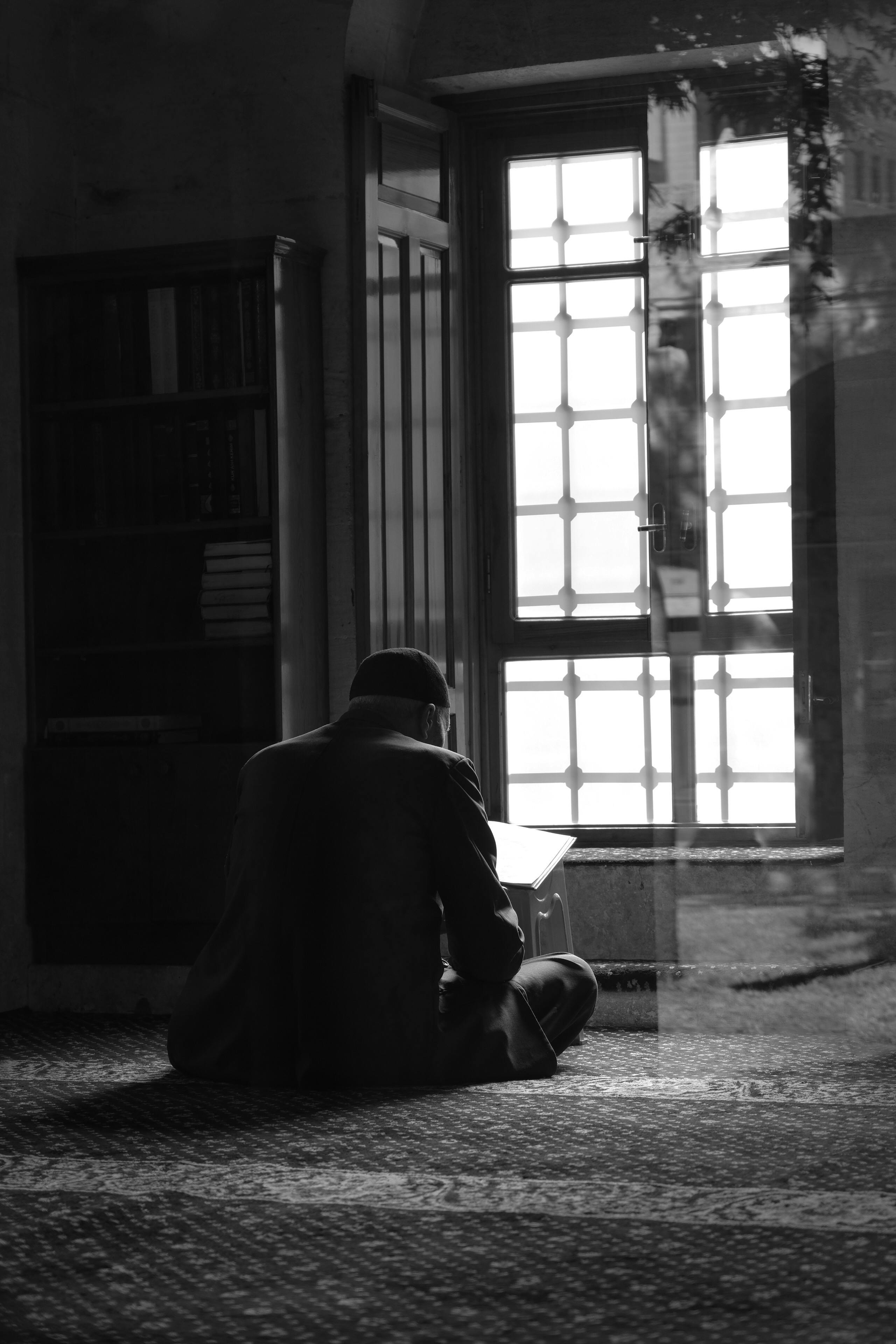 Person Reading Book Photos, Download The BEST Free Person Reading Book ...