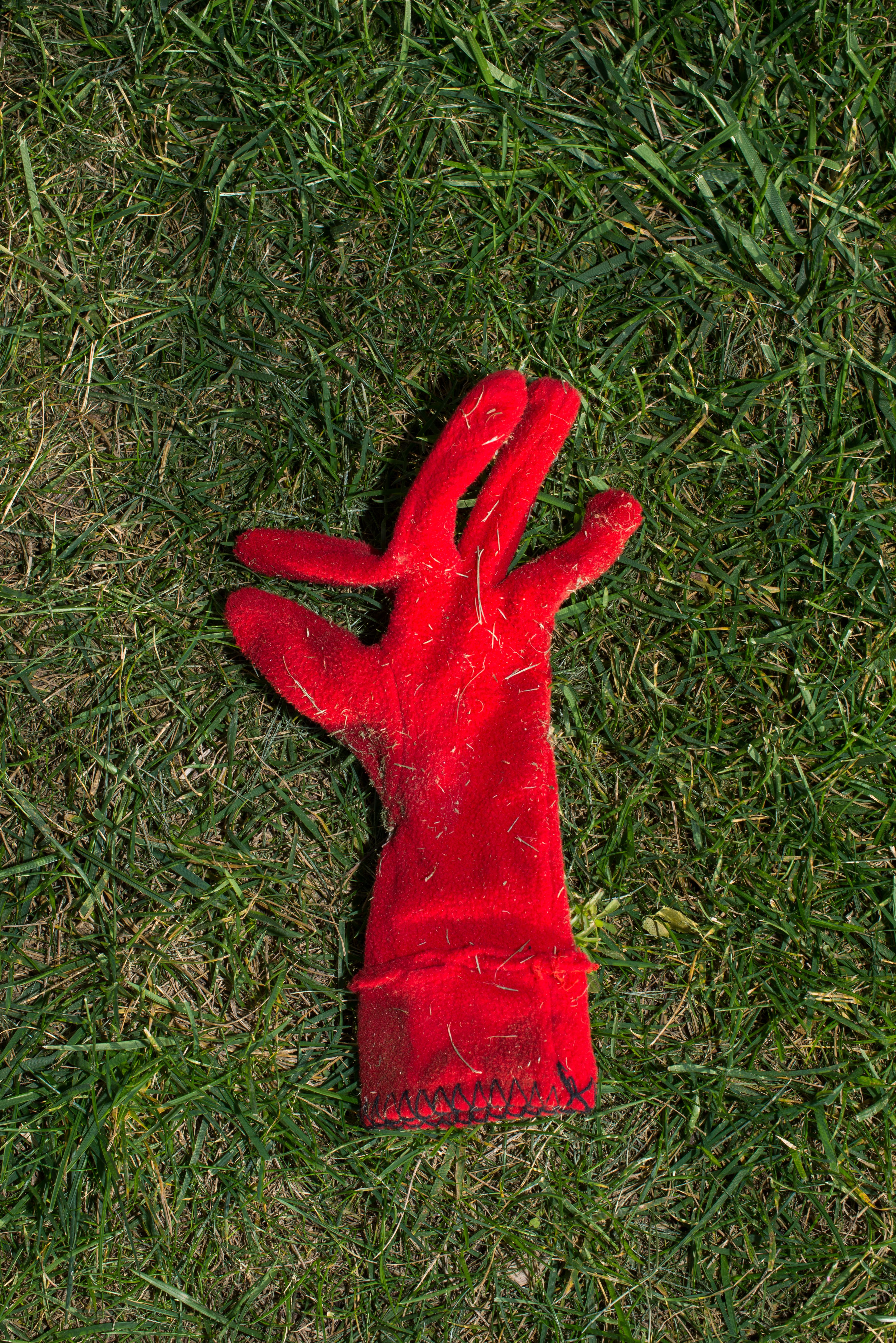 Red Glove Lying on Green Grass in Daylight · Free Stock Photo