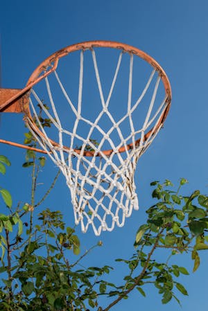 Basketball Pfp Photos, Download The BEST Free Basketball Pfp Stock ...