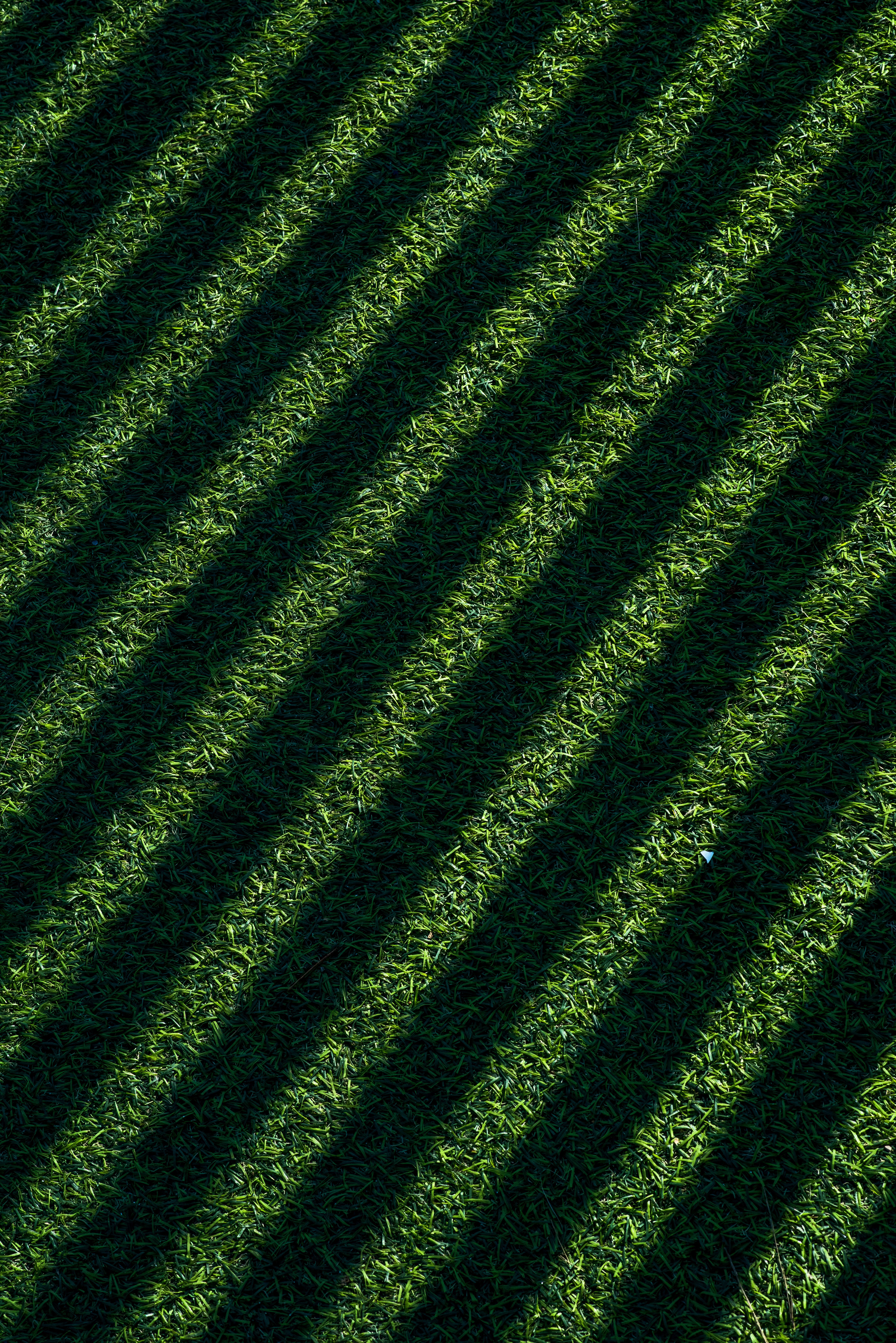Striped Shadows on Green Grassfield · Free Stock Photo
