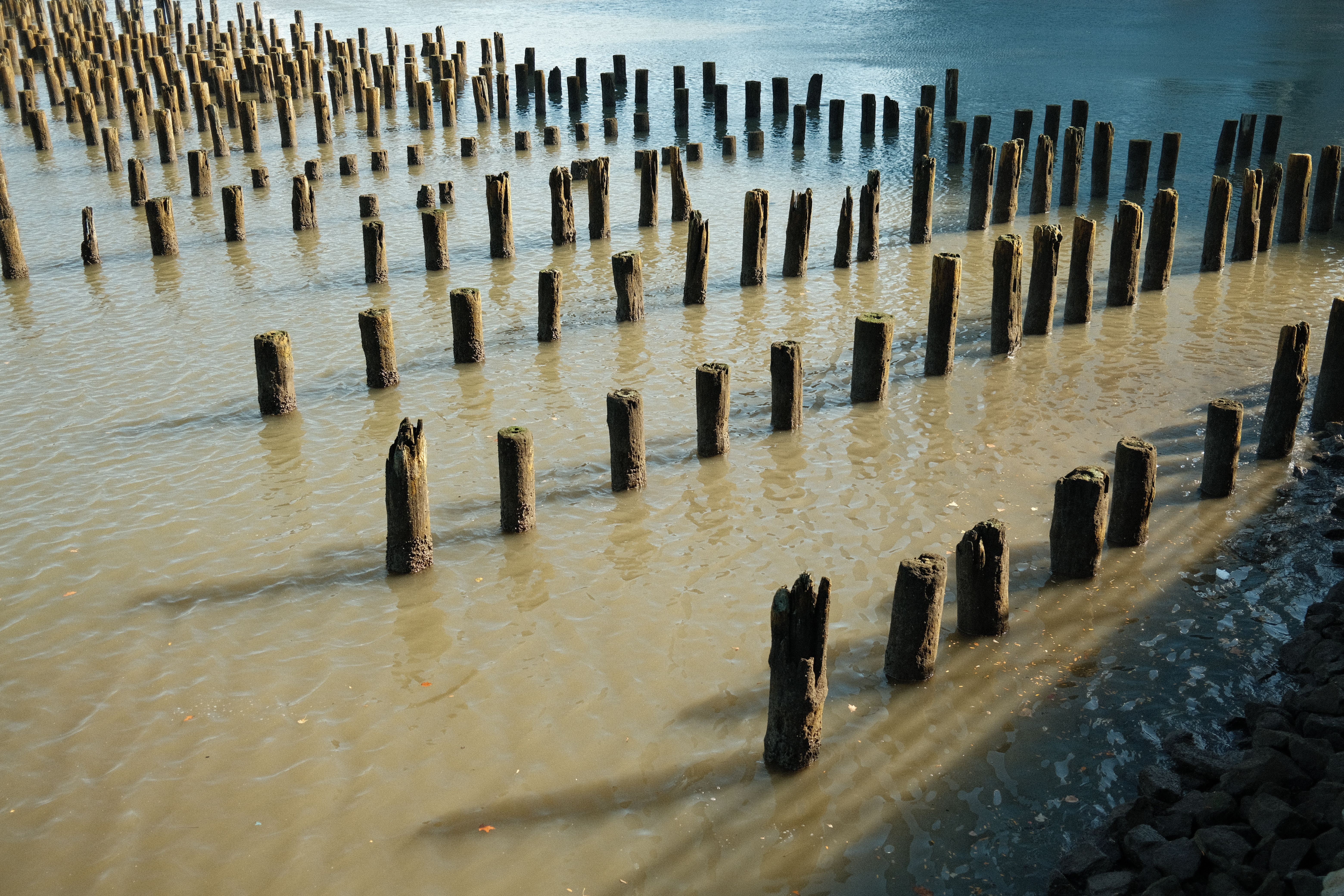 Old Piers Photos, Download The BEST Free Old Piers Stock Photos & HD Images
