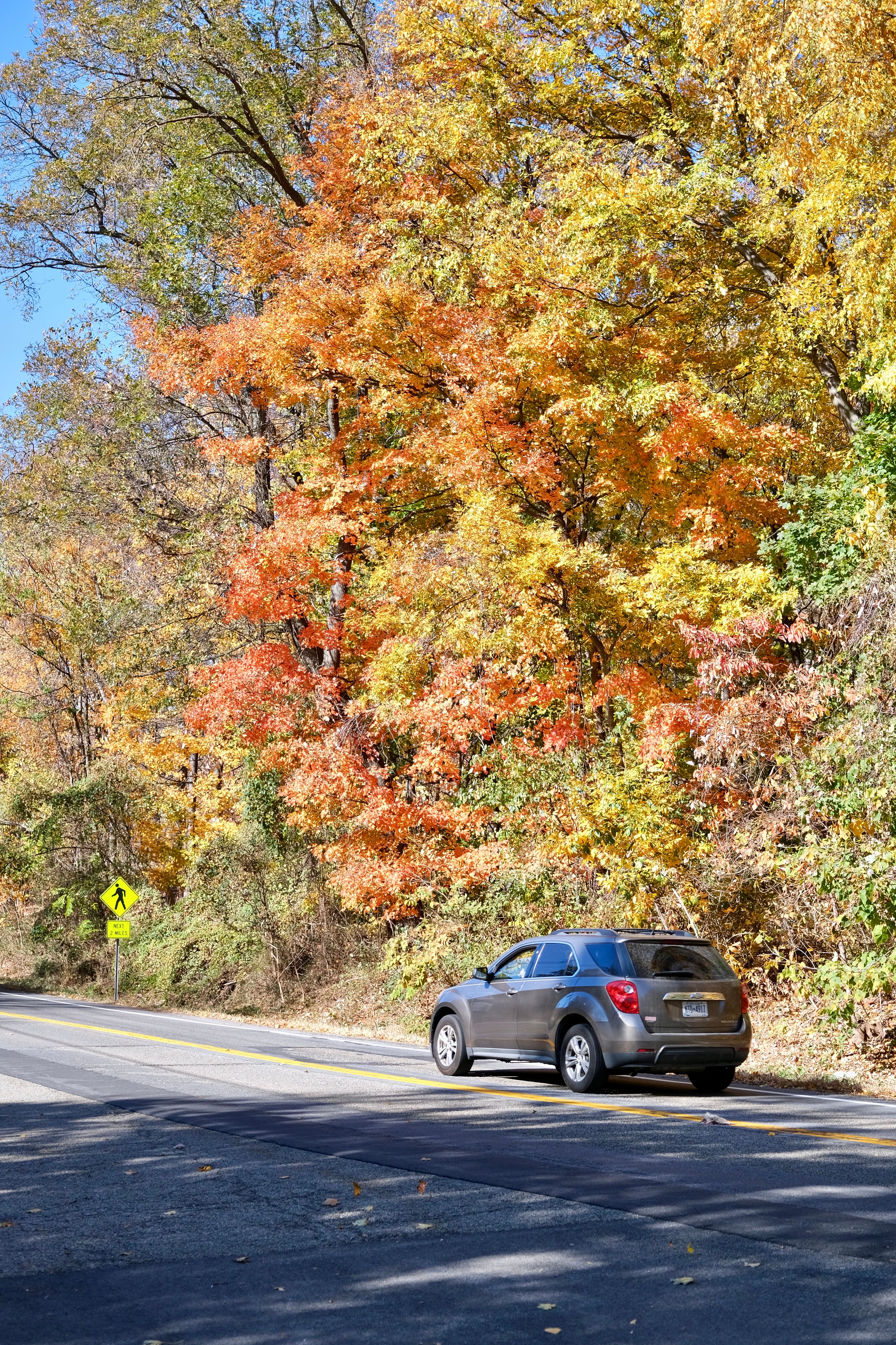 Autumn Foliage with Car on Scenic Road · Free Stock Photo