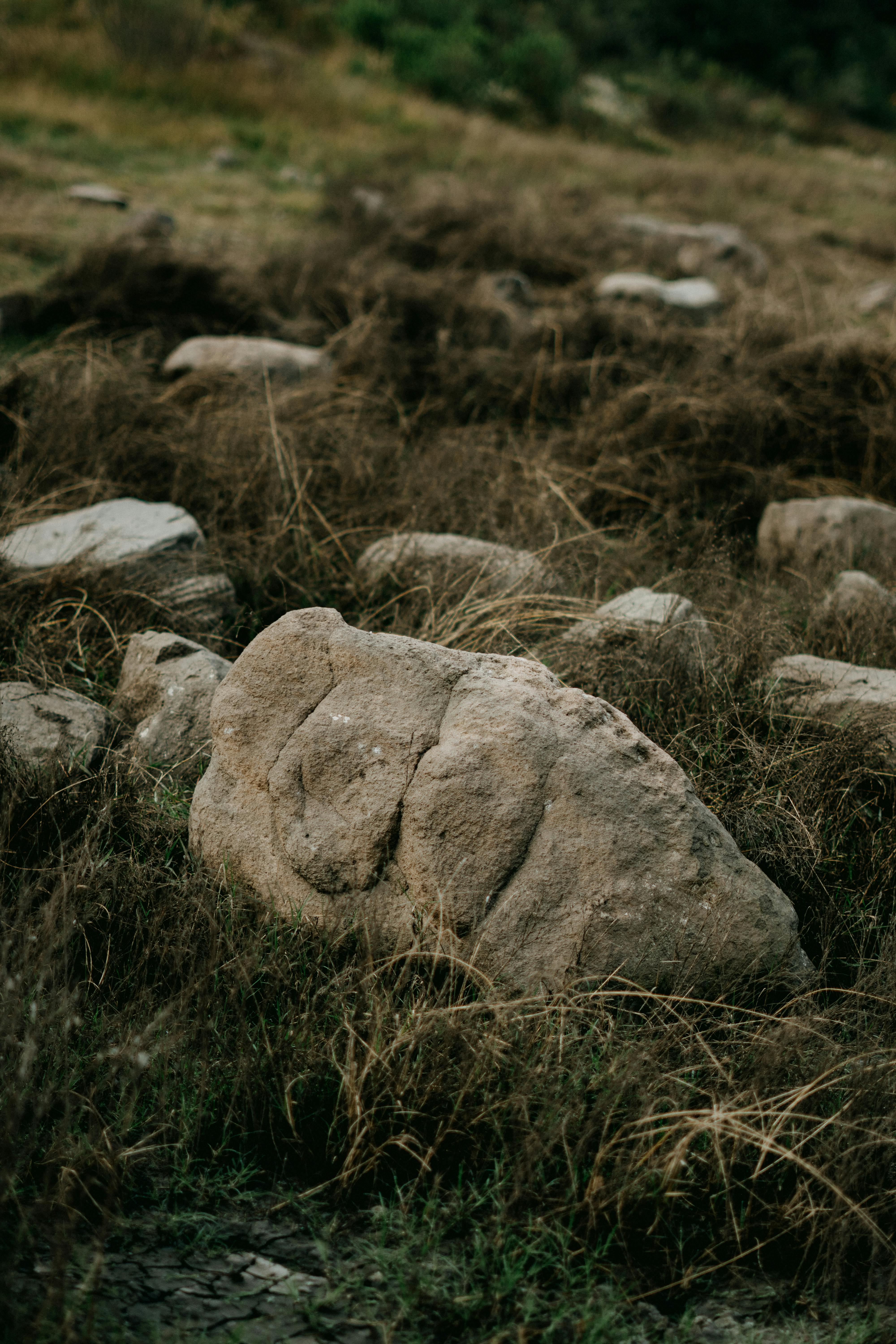 Natural Stone Landscape in Estado de México · Free Stock Photo