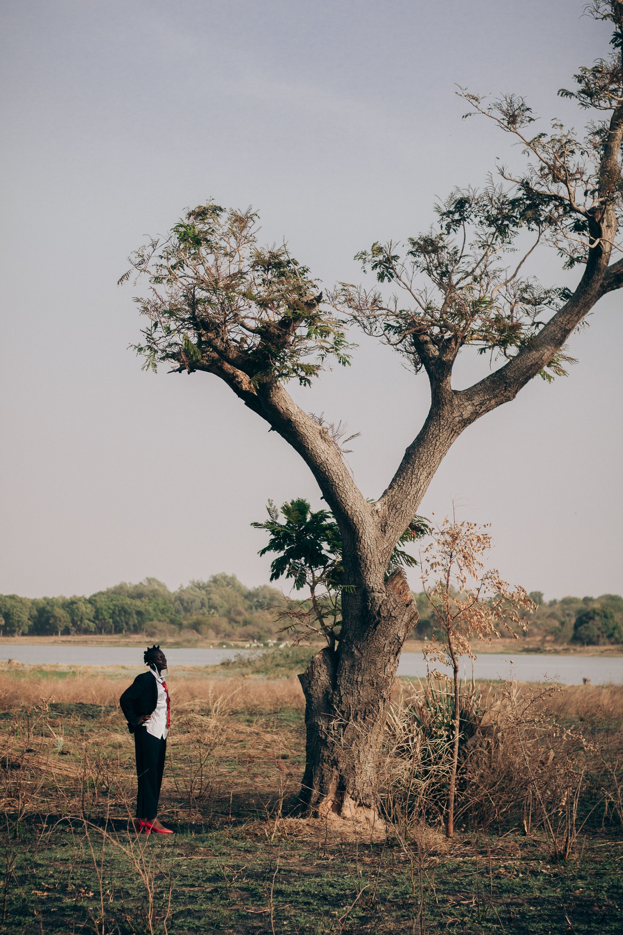 Solitary Figure under Tree in Serene Landscape · Free Stock Photo