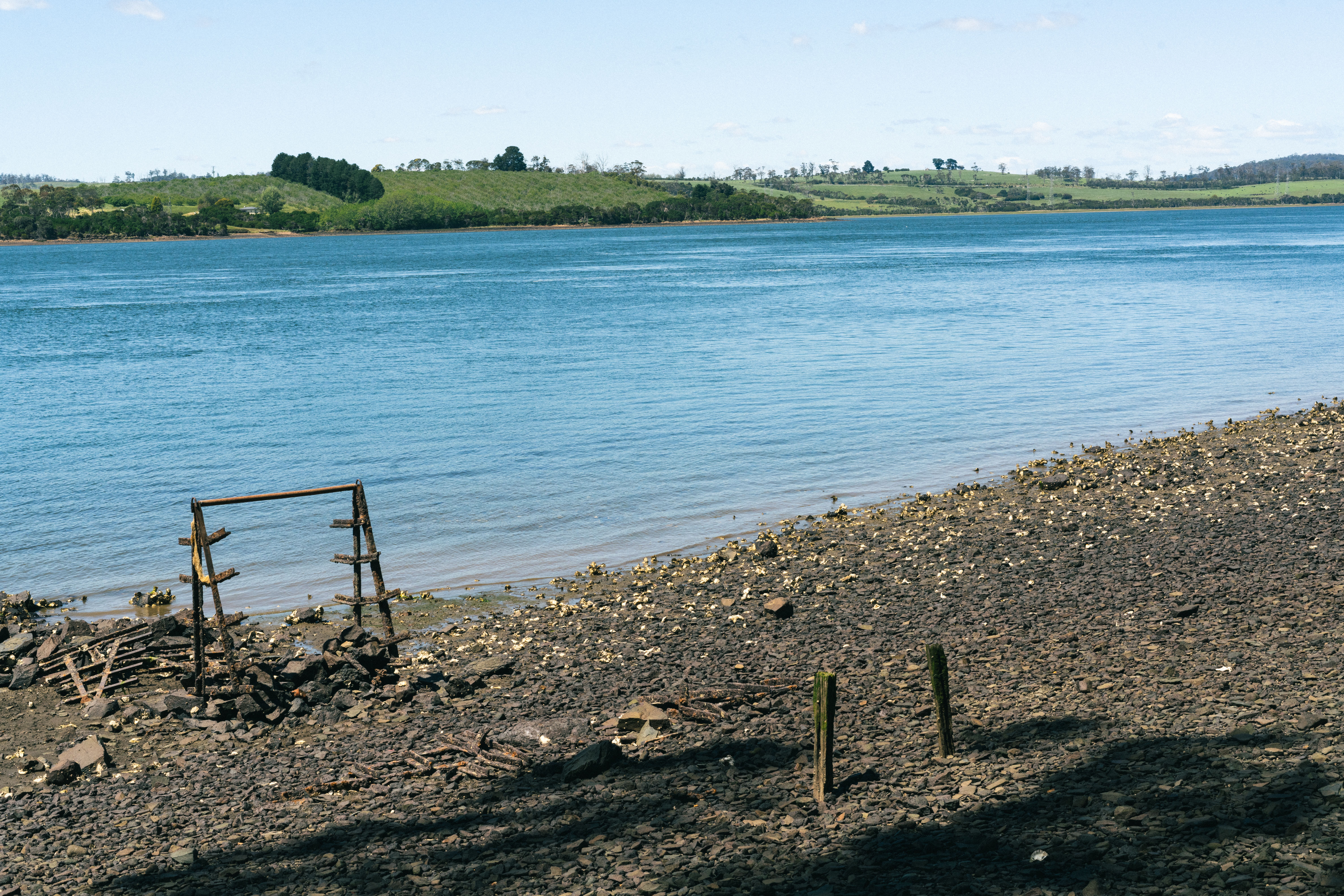 Rustic Riverbank with Scenic Horizon View · Free Stock Photo
