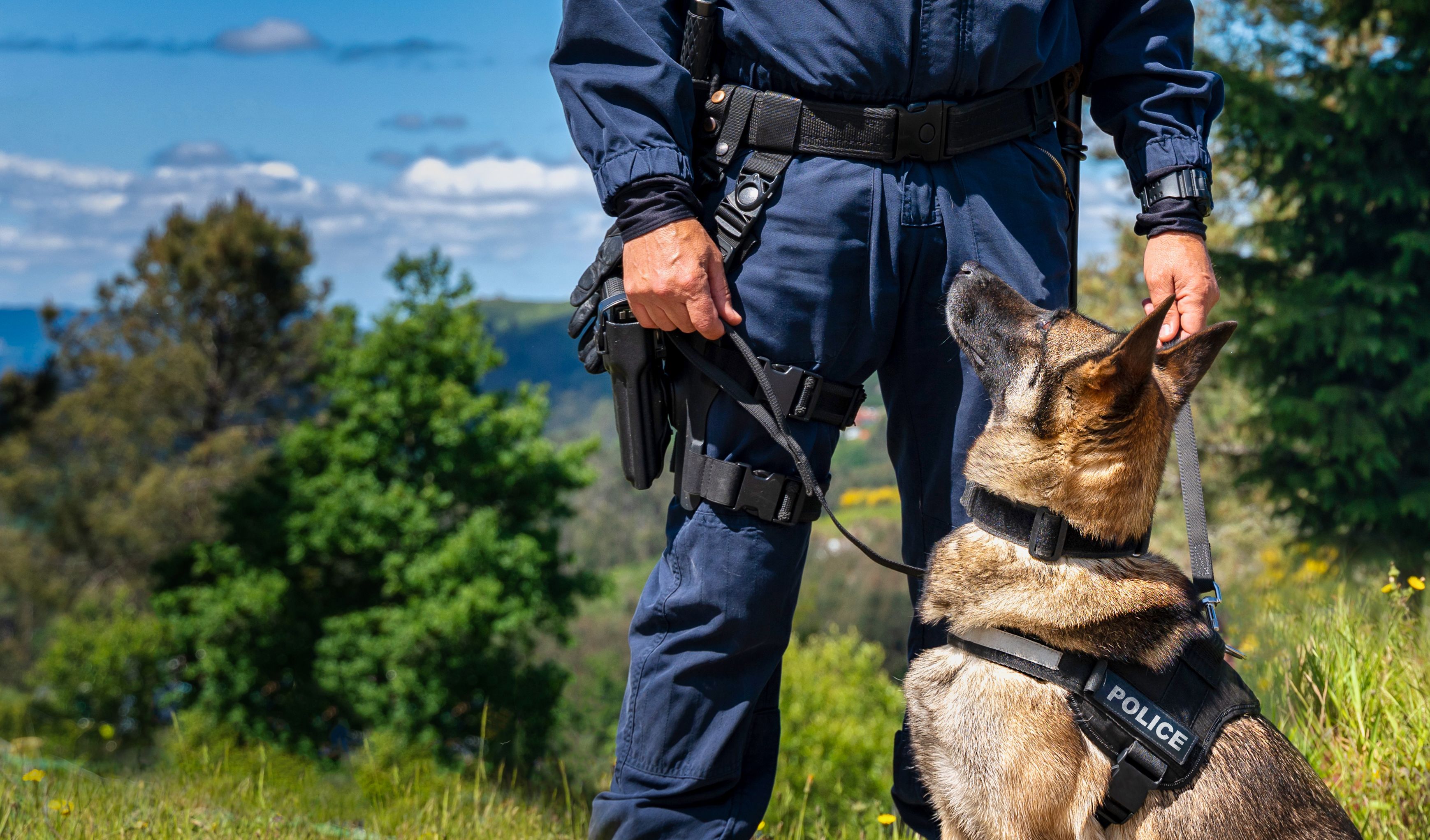 Green Police Enforcement Photos, Download The BEST Free Green Police ...