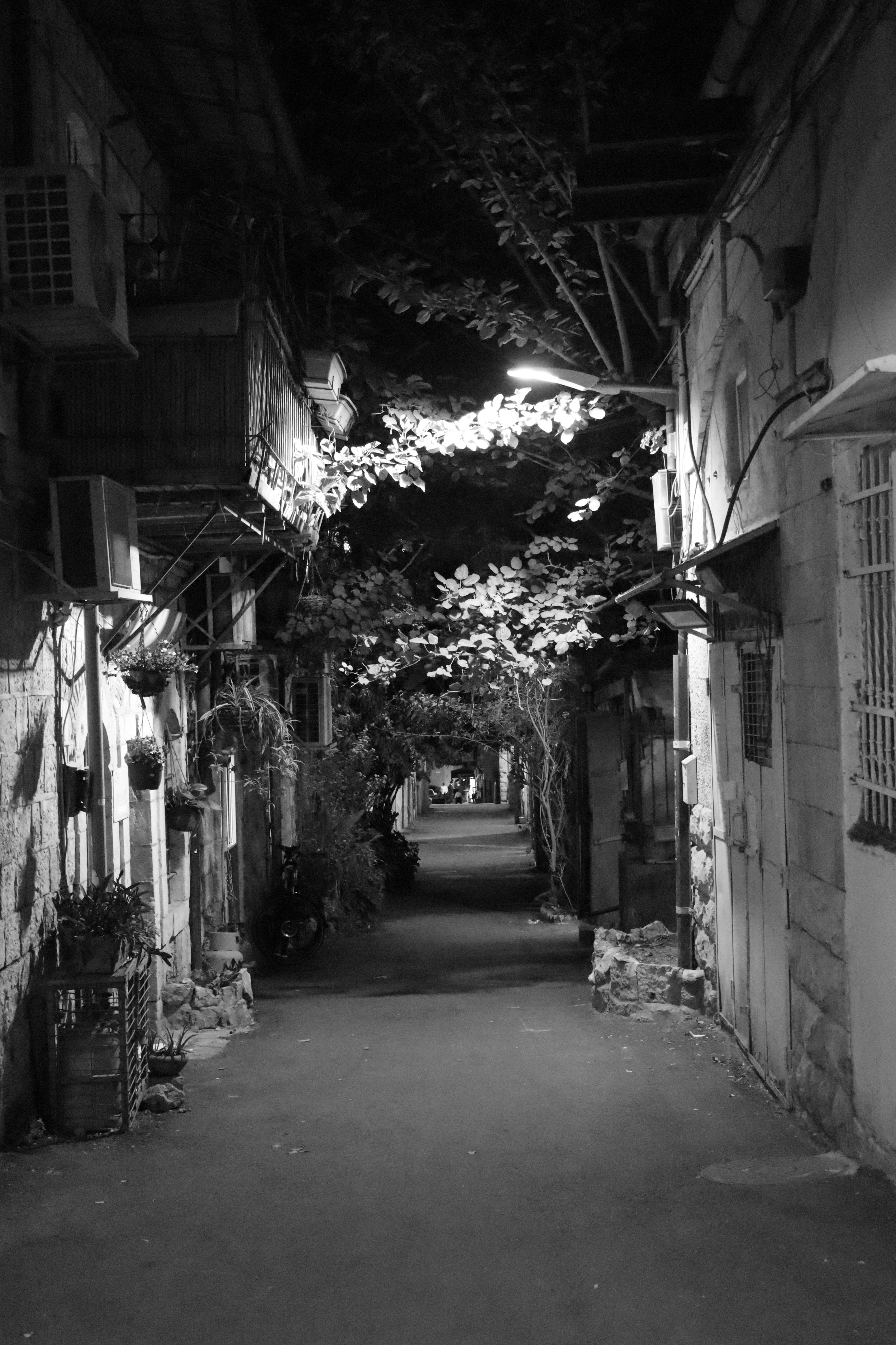 Night Land Background Photos, Download The BEST Free Night Land ...