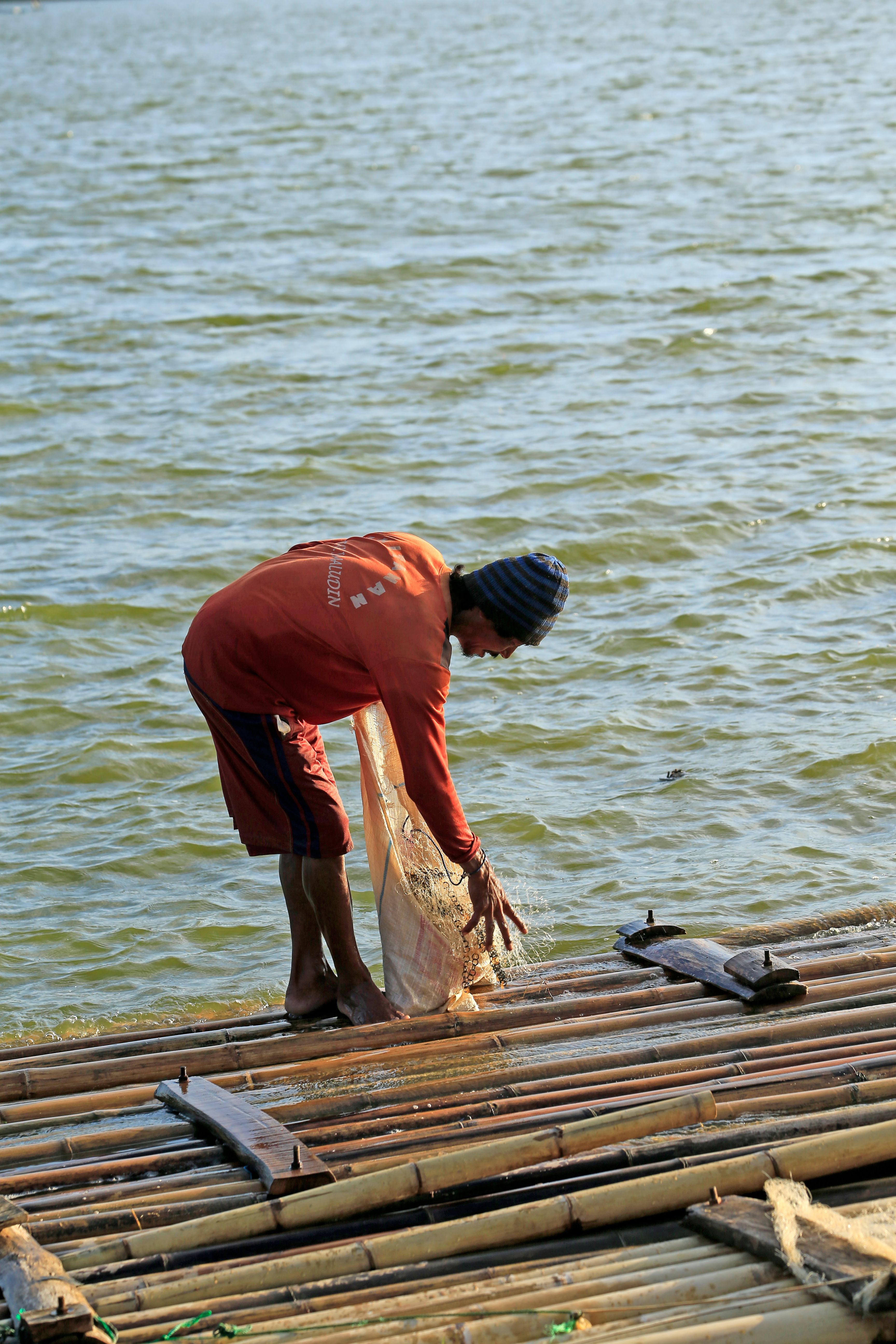 Photo Of People Catching Fishes · Free Stock Photo