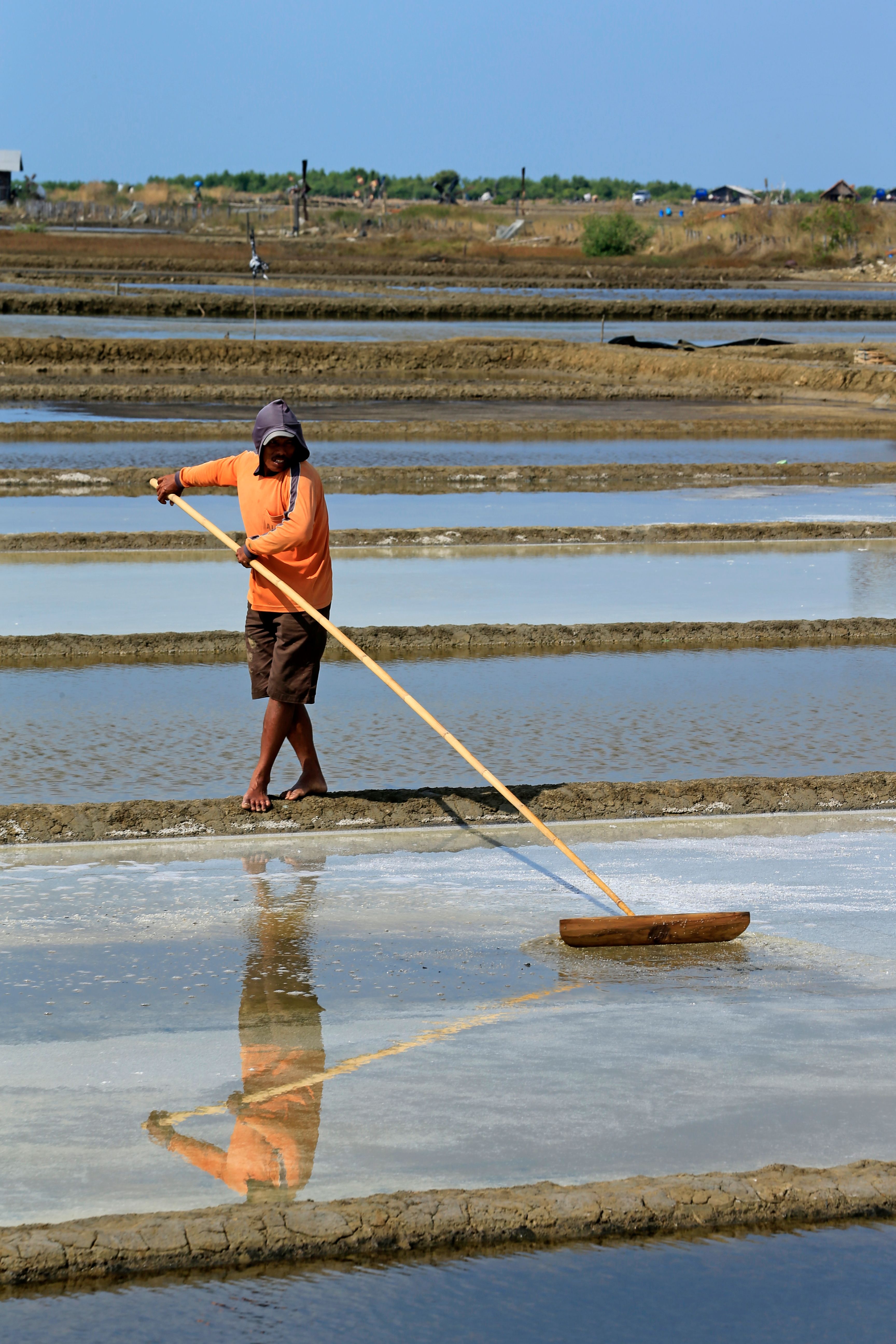 Salt Worker Harvesting in Scenic Salt Flats · Free Stock Photo