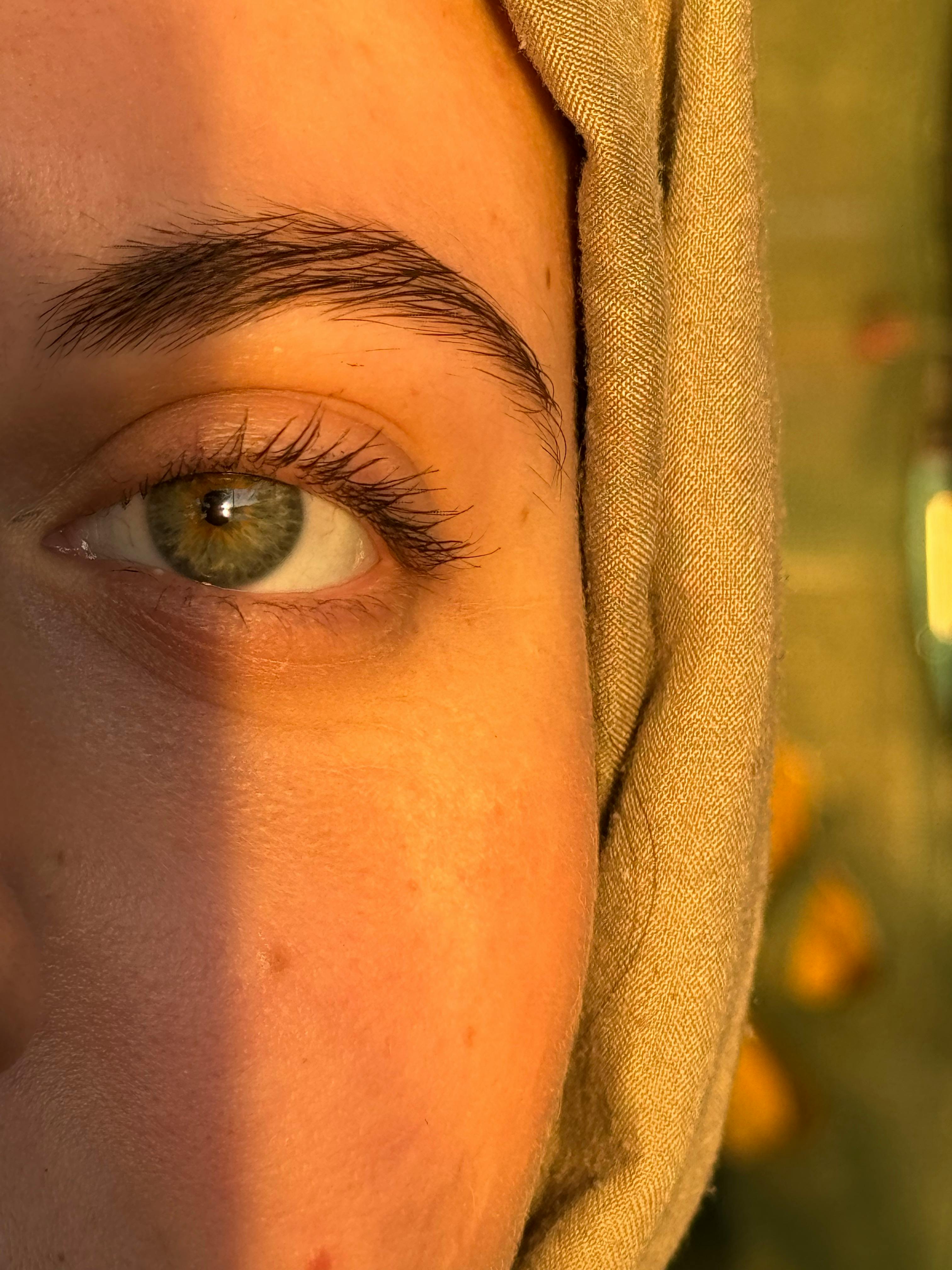 Close-up Portrait in Warm Sunset Light · Free Stock Photo