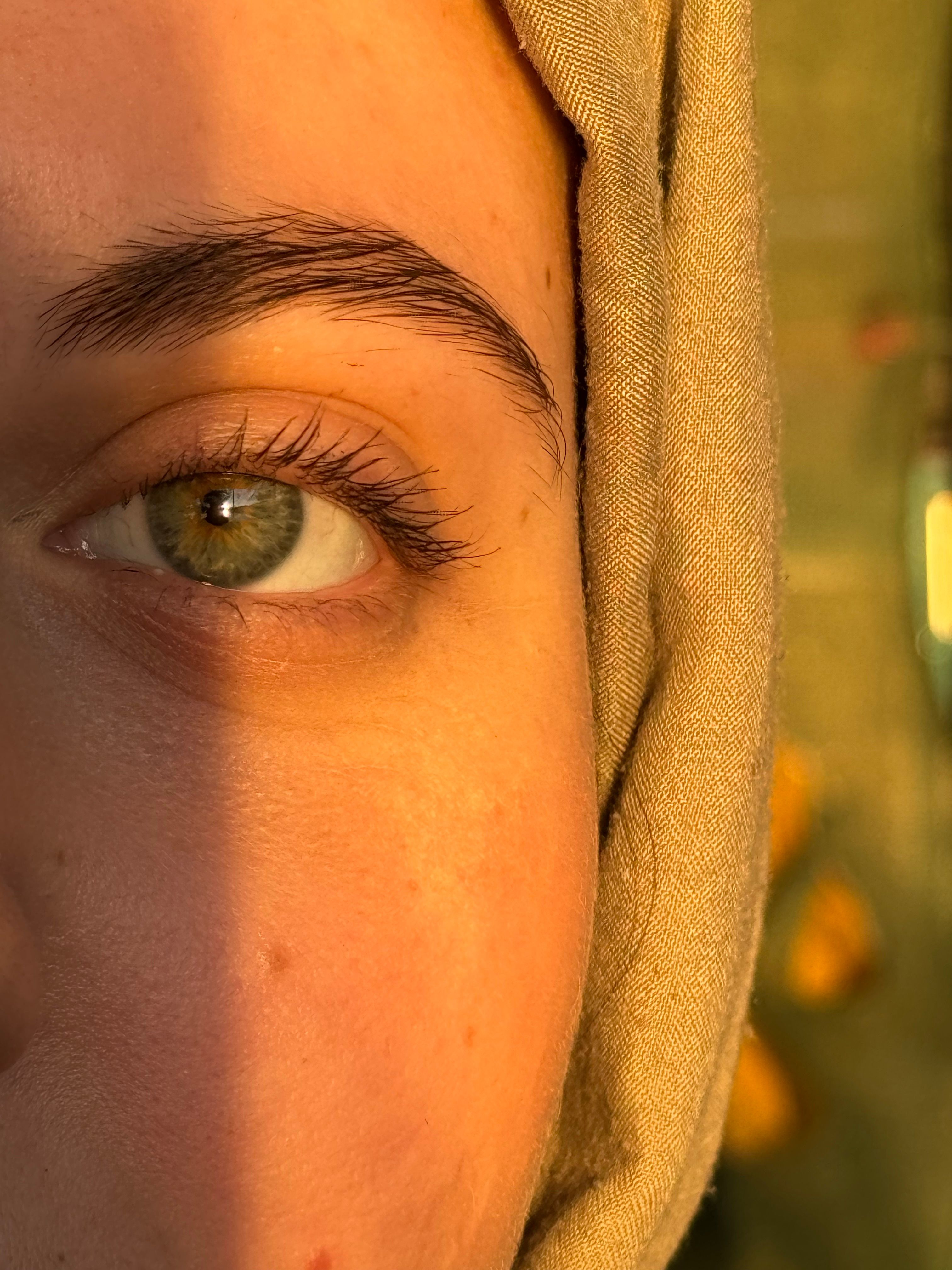 Close-up Portrait in Warm Sunset Light · Free Stock Photo