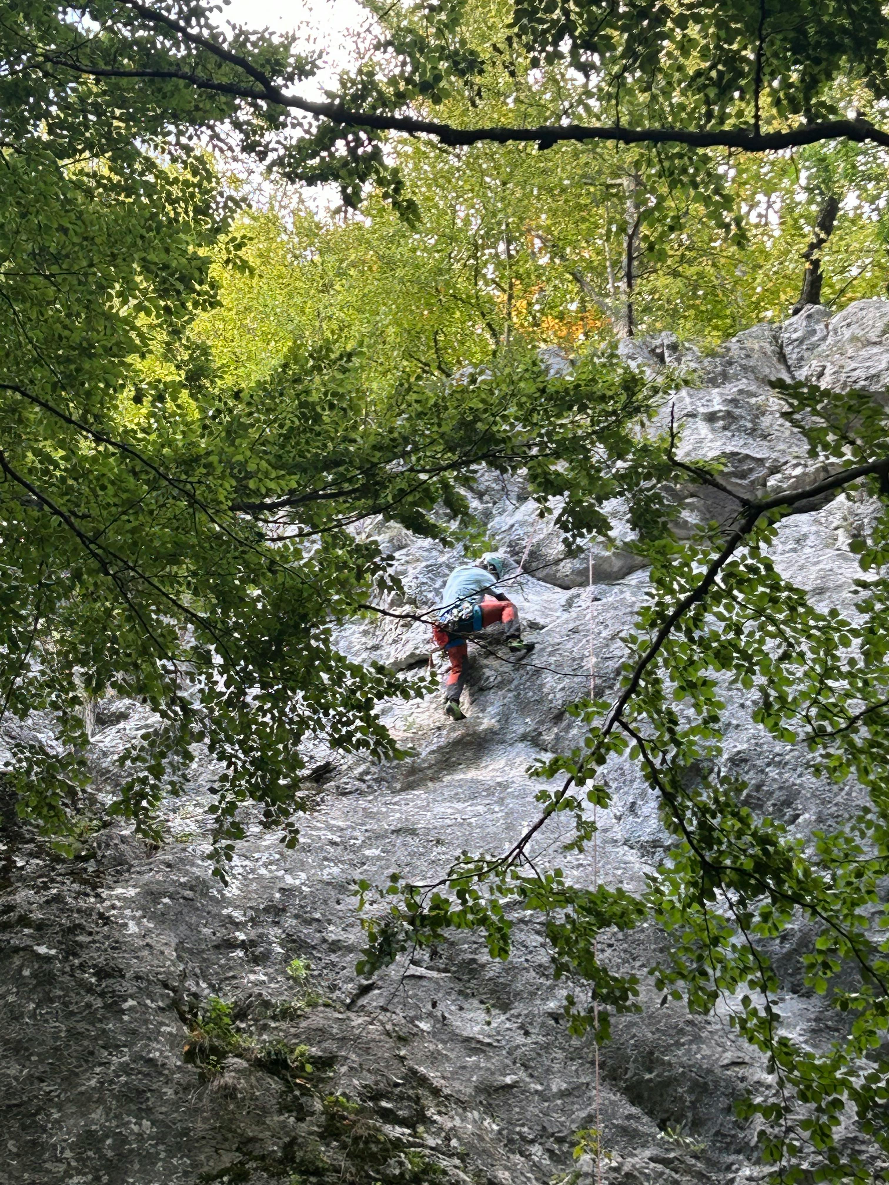 Rock Climber Ascending Natural Crag in Forest · Free Stock Photo