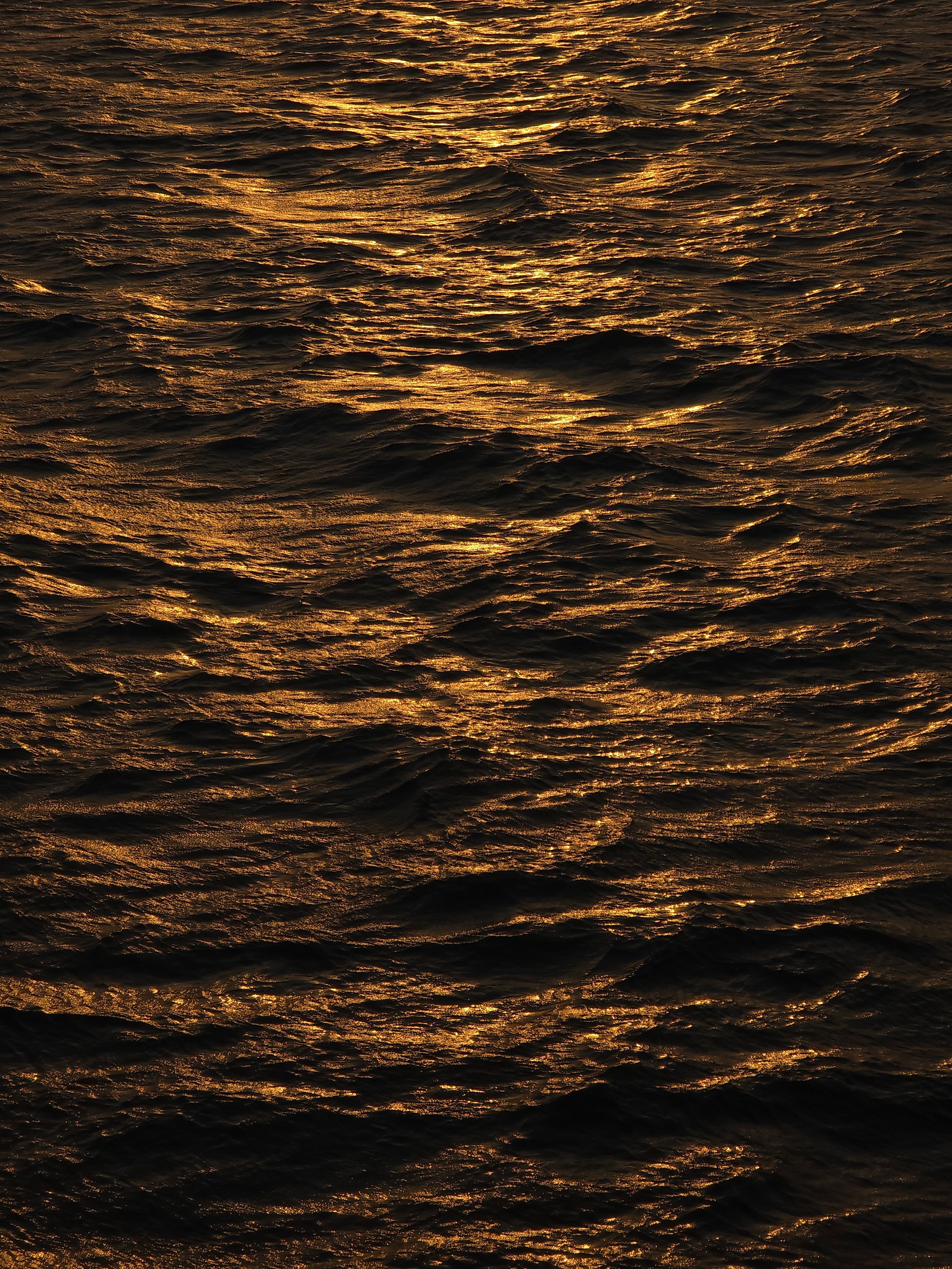 Golden Sunset Reflecting on Ocean Waves · Free Stock Photo