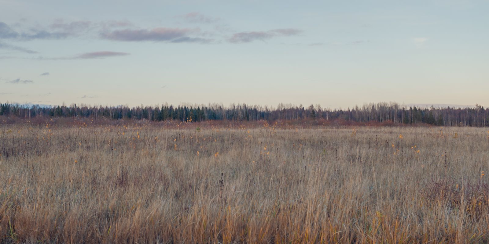 Barren Landscape Photos, Download The BEST Free Barren Landscape Stock ...