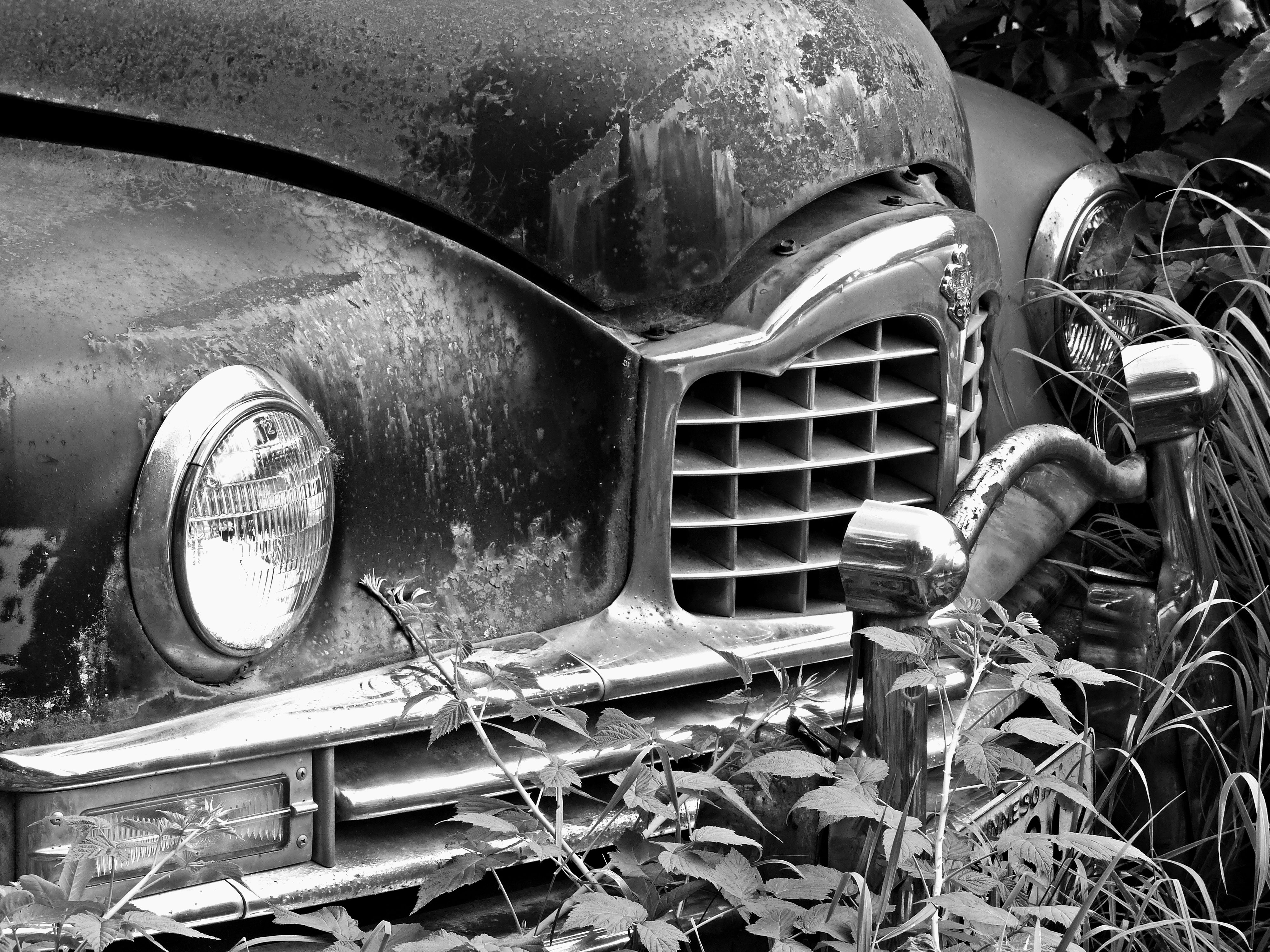 Vintage Rusted Car in Overgrown Vegetation · Free Stock Photo