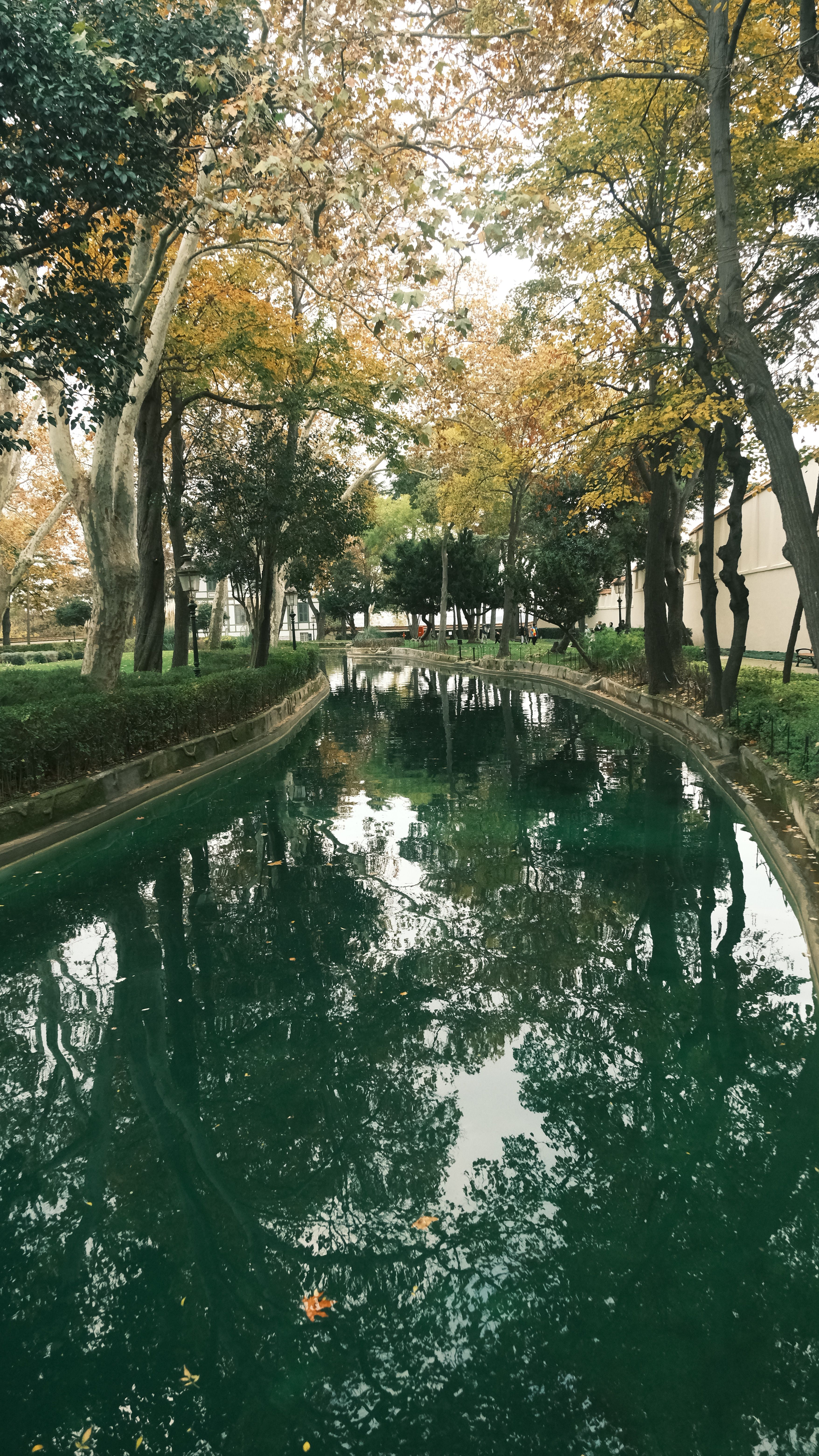 Tranquil Canal in Autumn with Overhanging Trees · Free Stock Photo