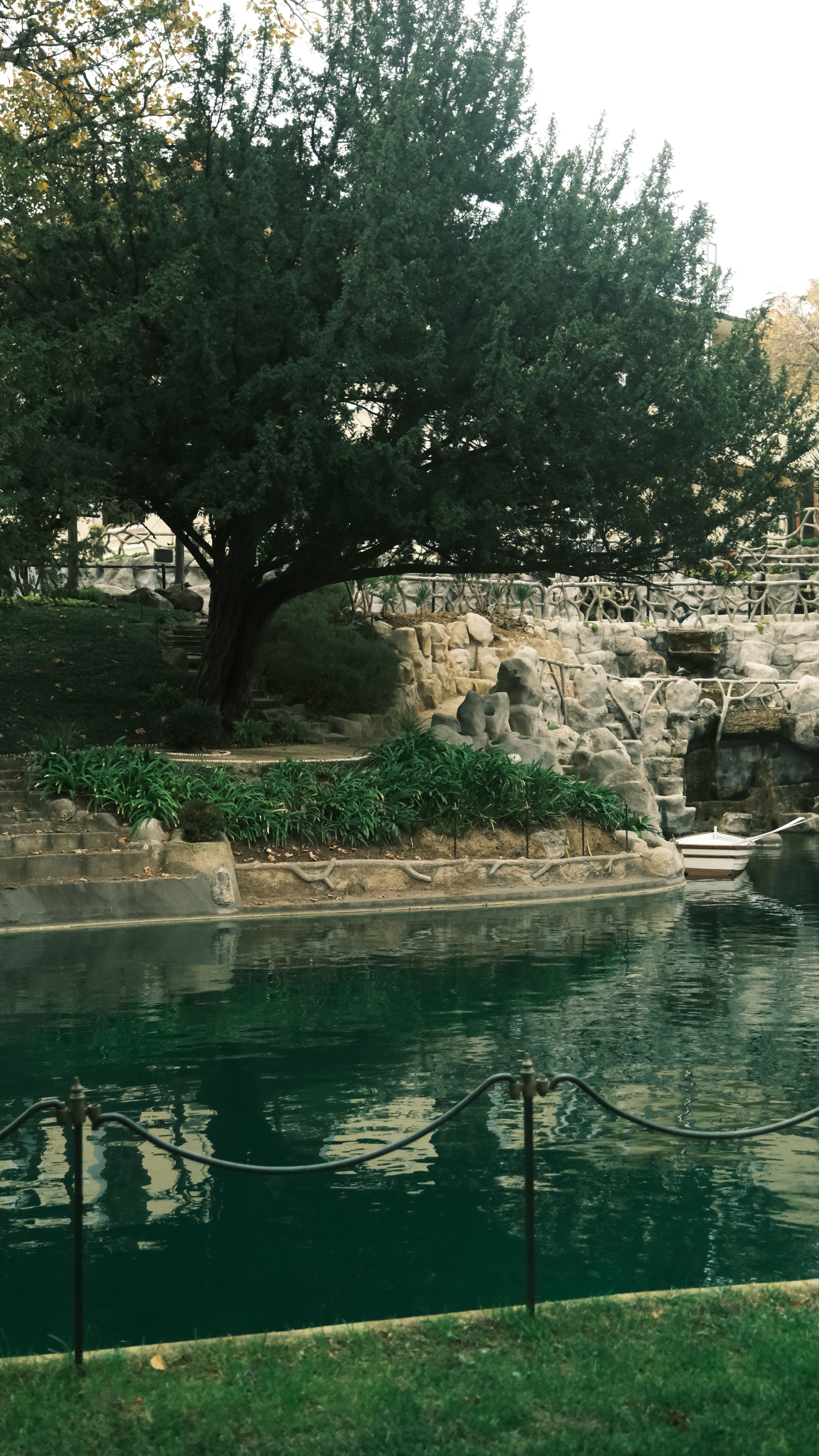 Serene Park Landscape with Green Pond and Tree · Free Stock Photo