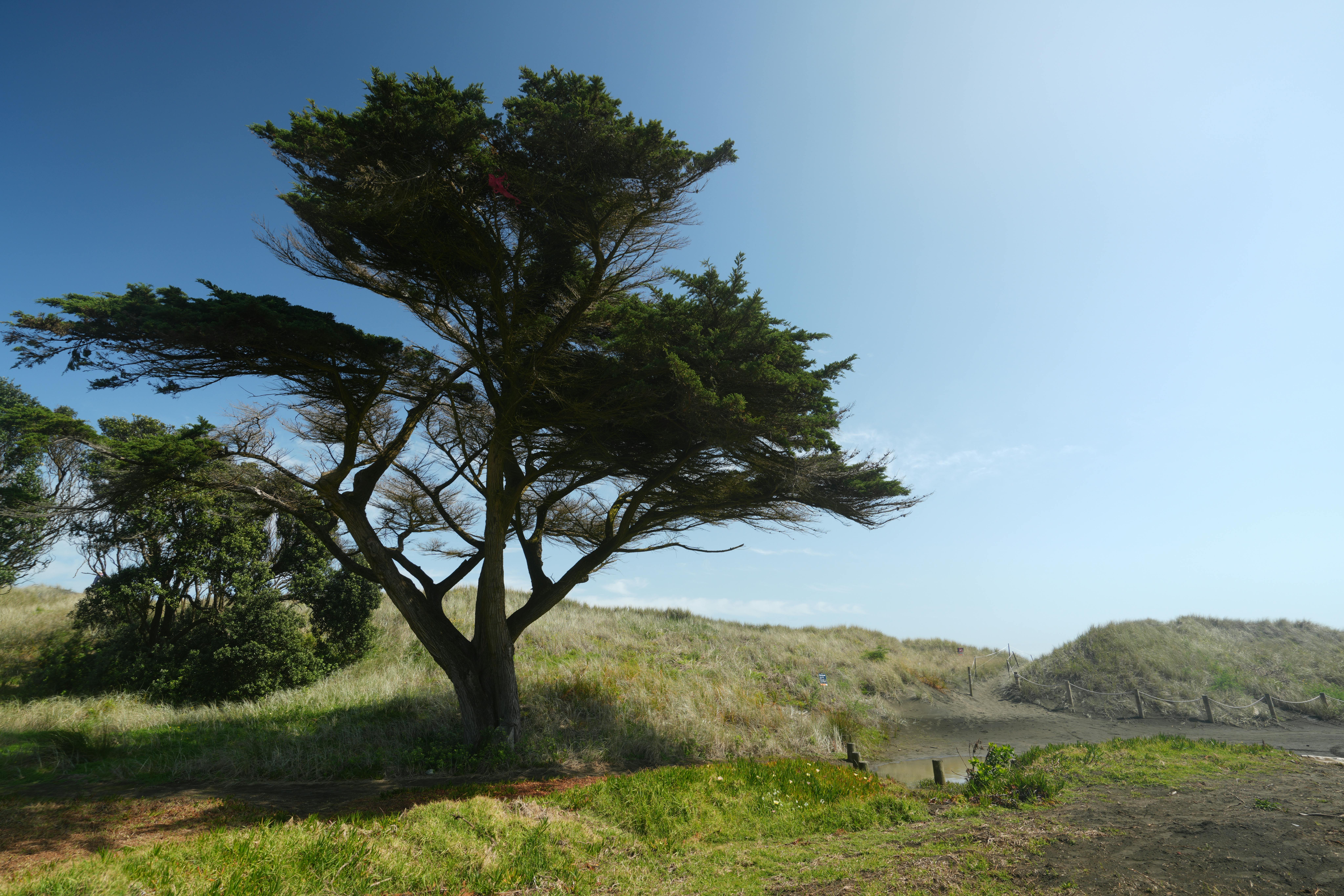 Paul Smith - Photography