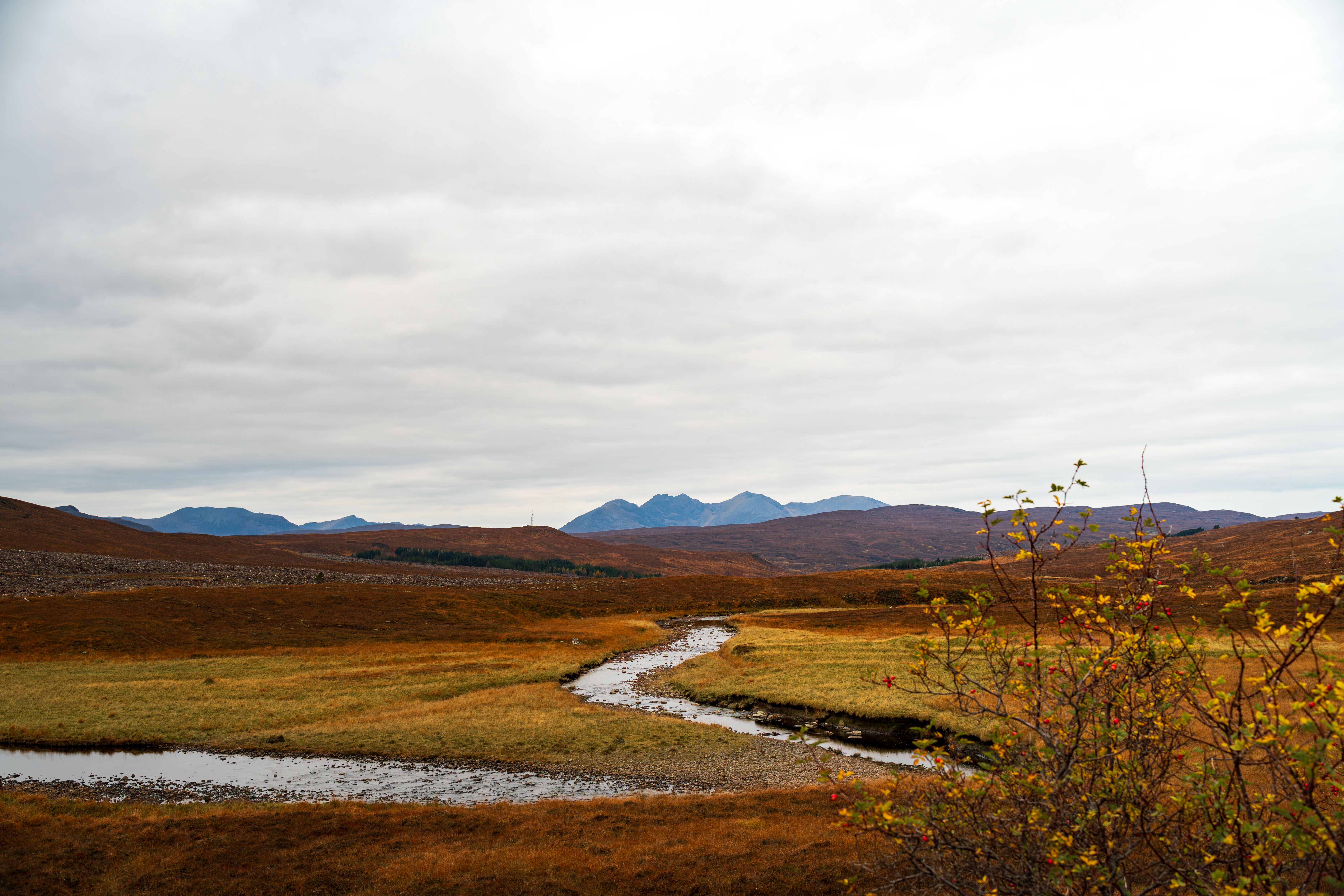Serene Scottish Highlands Landscape in Autumn · Free Stock Photo