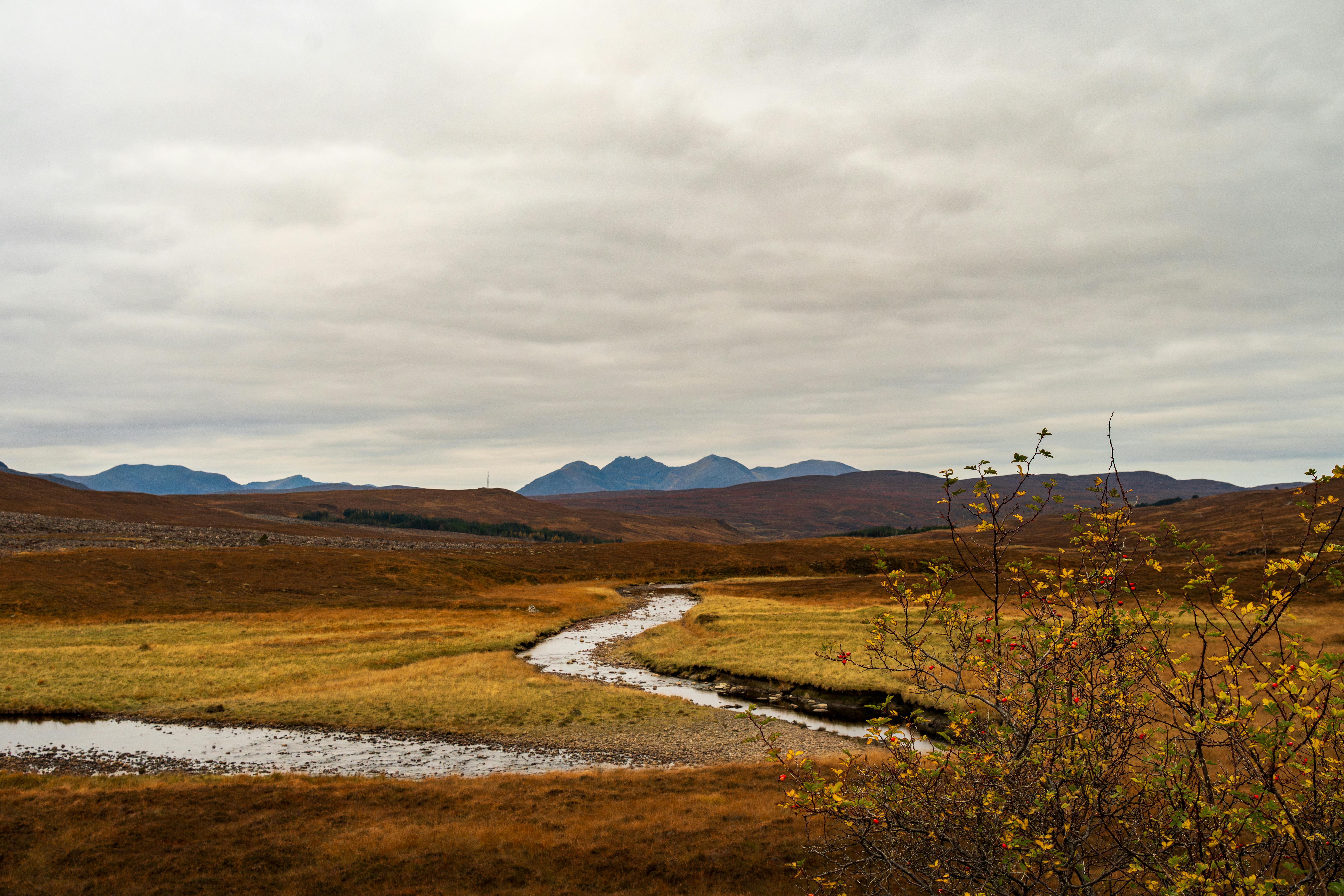 Tranquil Landscape View with Winding Stream · Free Stock Photo