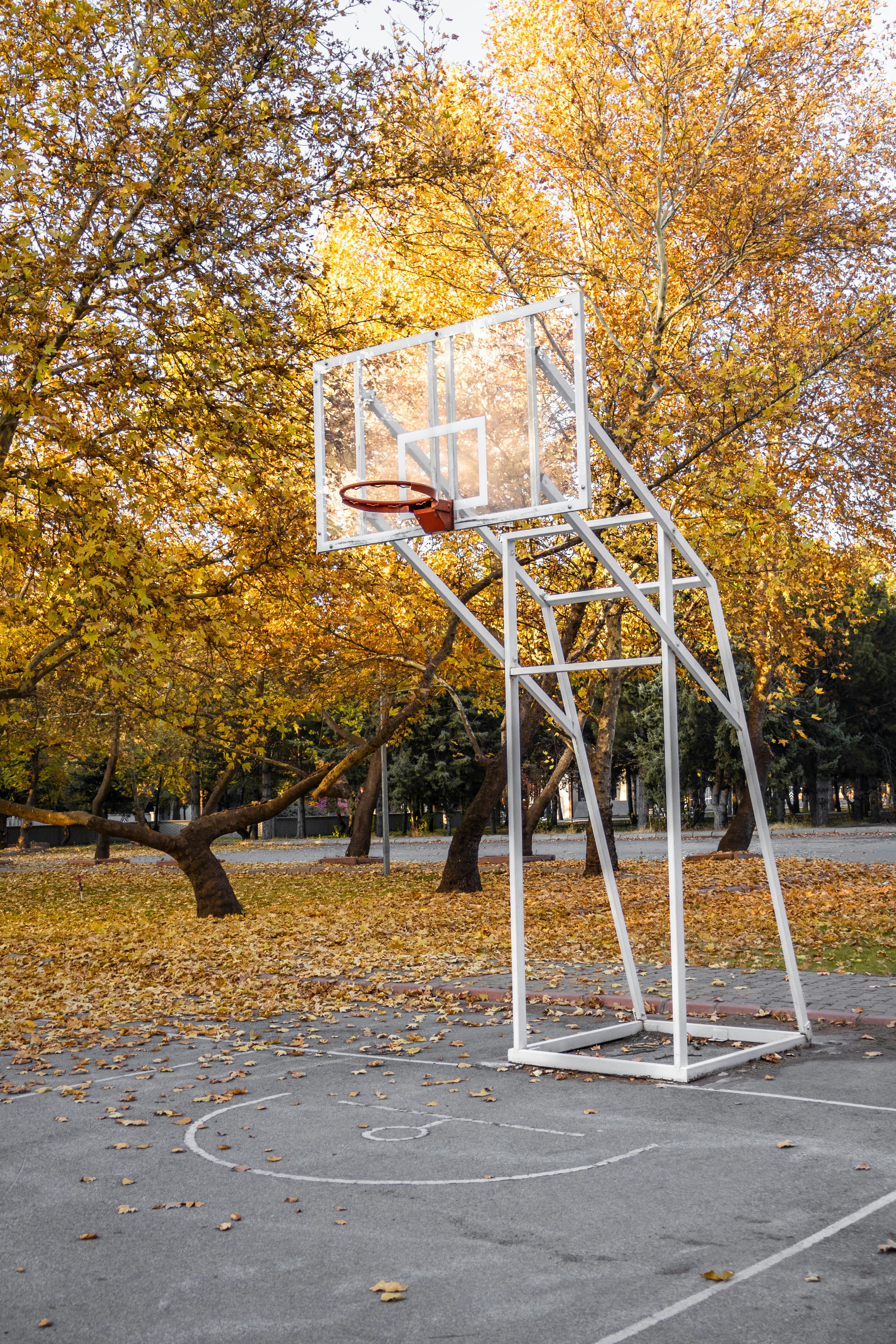 Outdoor Basketball Court in Autumn Setting · Free Stock Photo