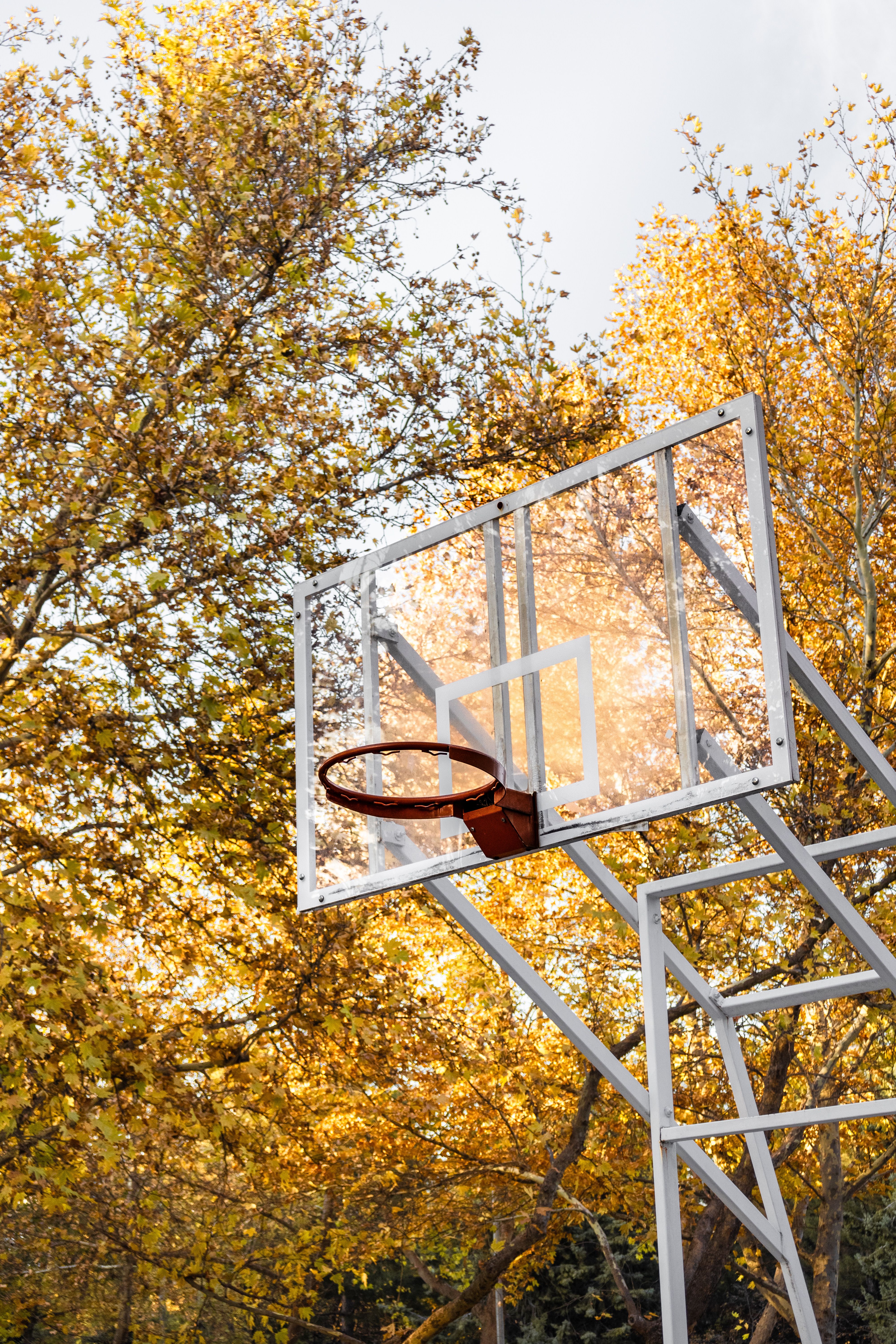 Outdoor Basketball Hoop in Autumn Park · Free Stock Photo