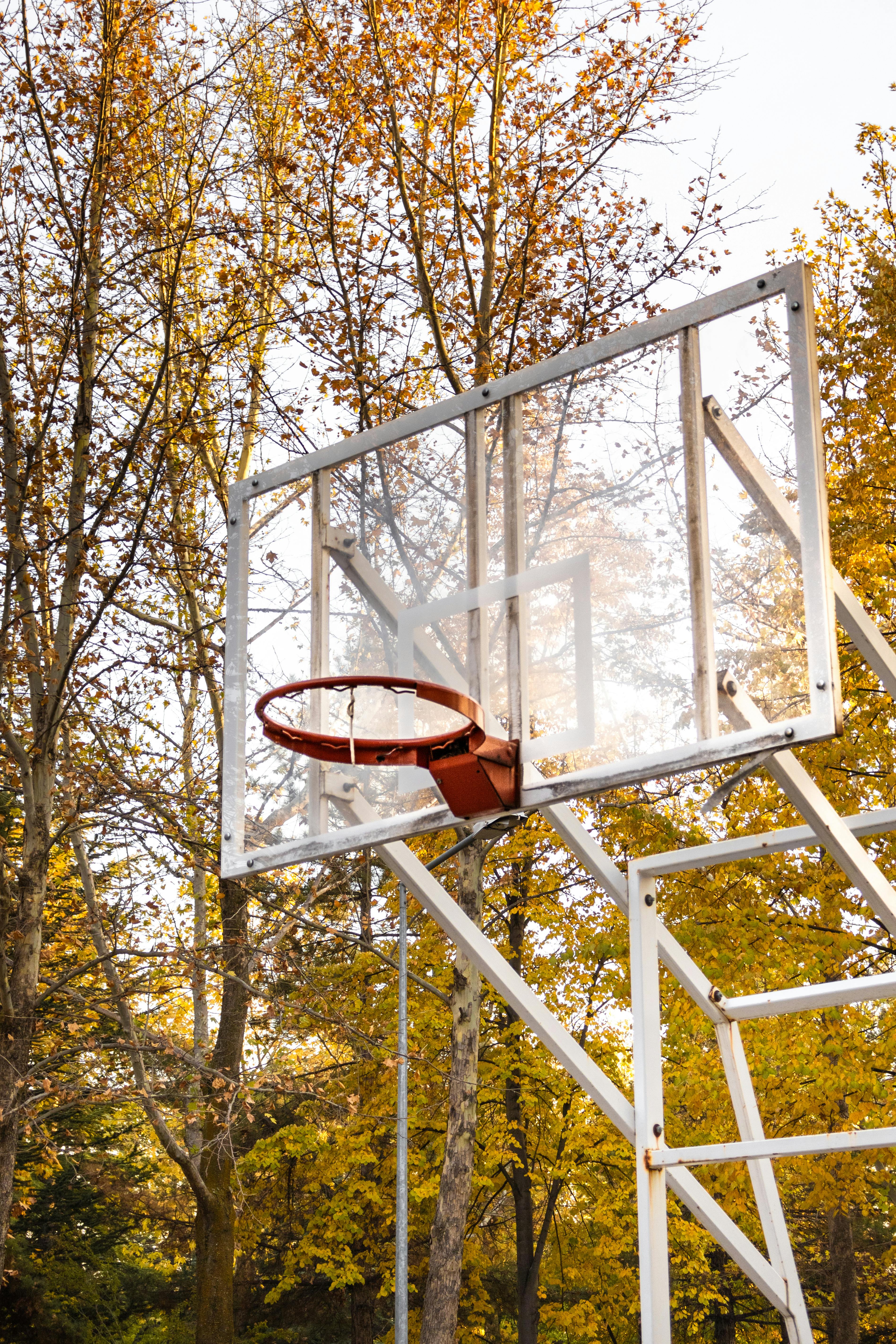 Clear Backboard Photos, Download The BEST Free Clear Backboard Stock ...