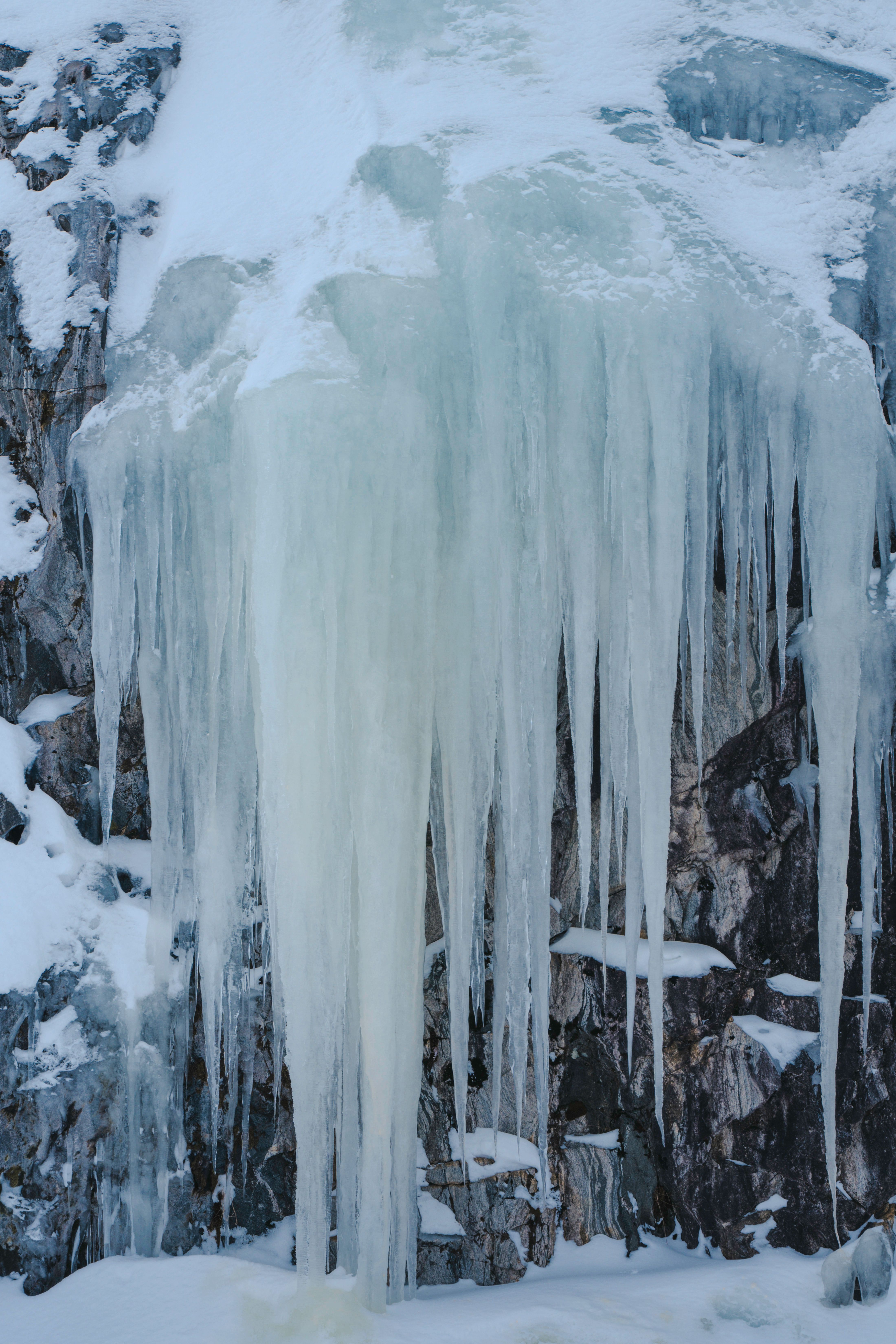 Majestic Icicles in Northern Arctic Winter · Free Stock Photo