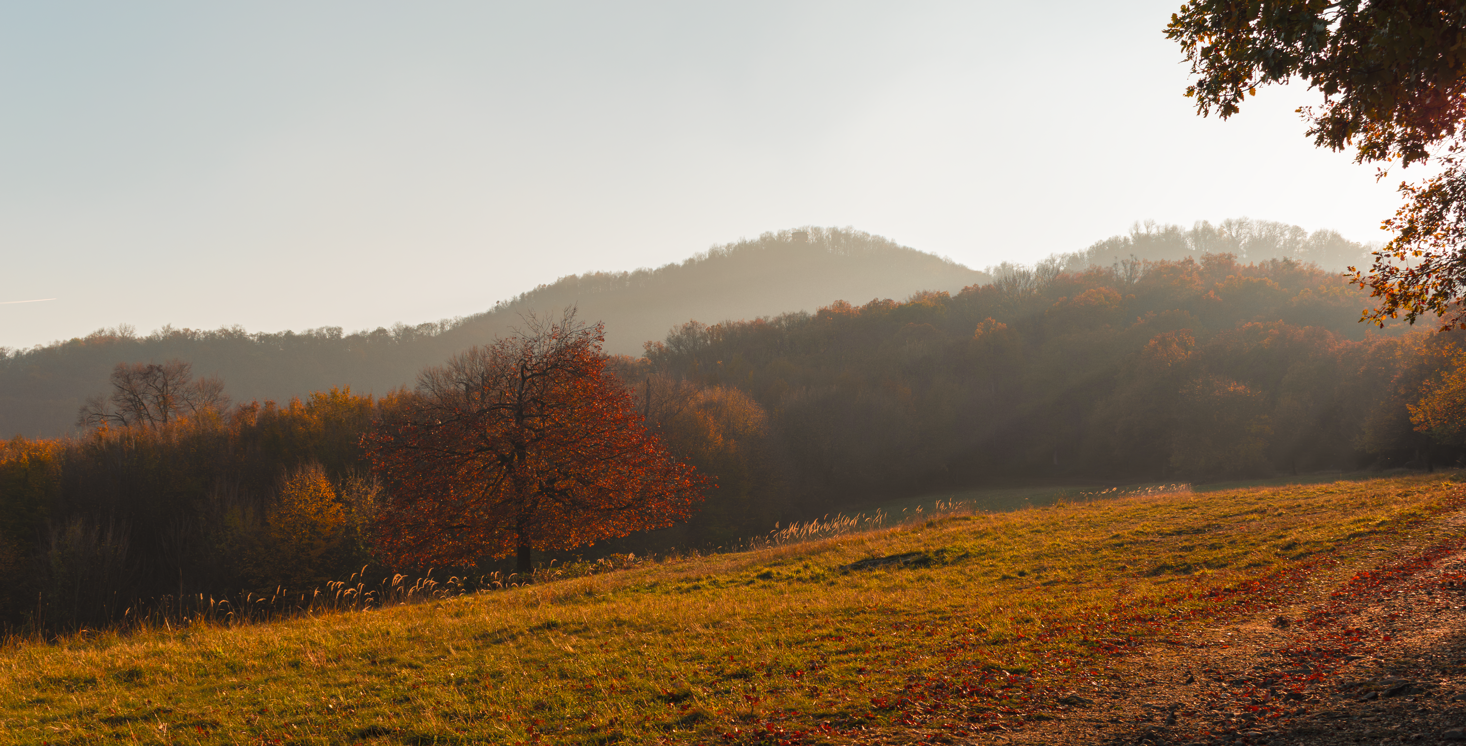 Autumn Landscape in Dömös, Hungary · Free Stock Photo