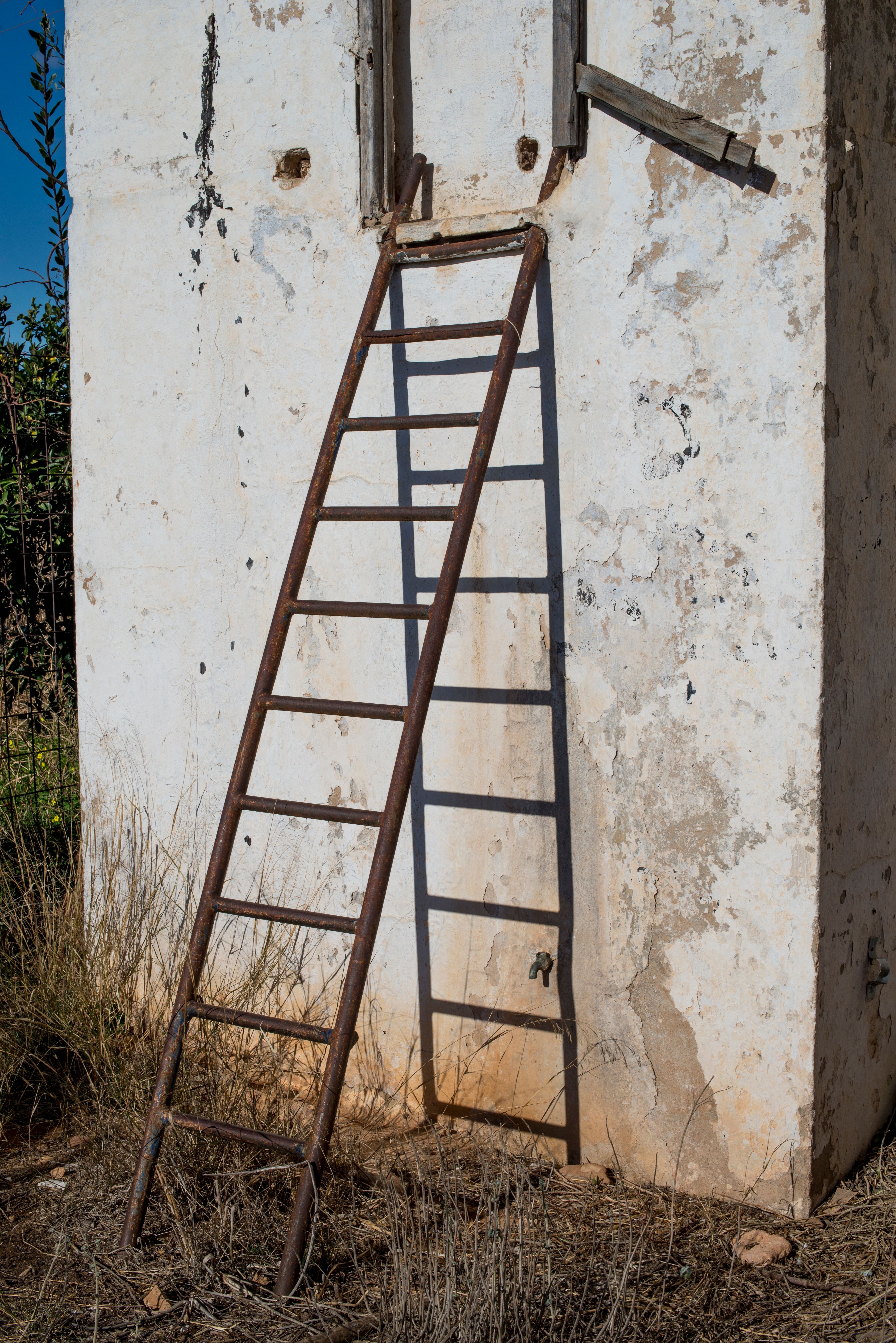 Rustic Ladder Against Weathered Wall Outdoors · Free Stock Photo
