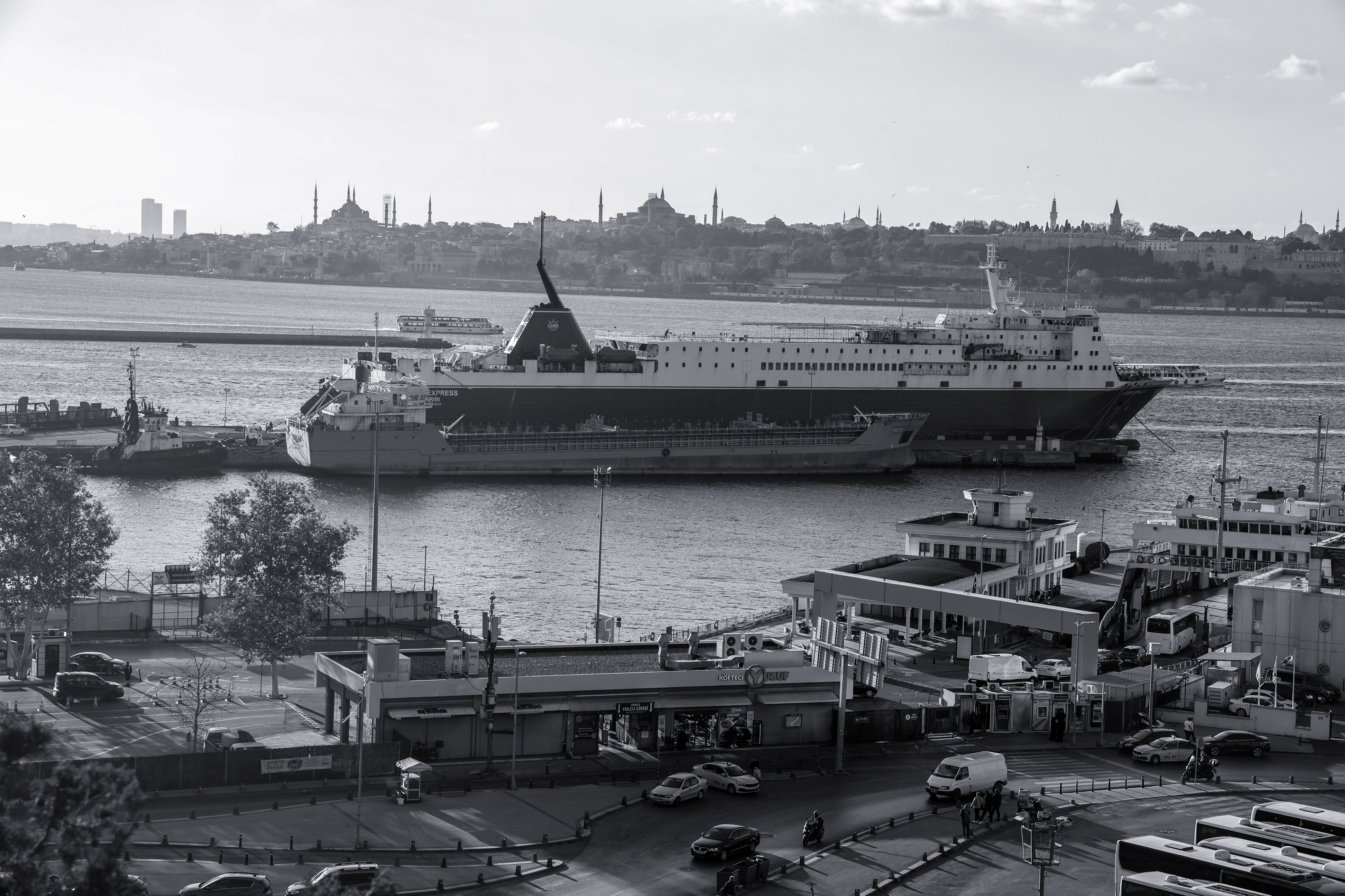 Black and White View of Istanbul Harbor and Skyline · Free Stock Photo