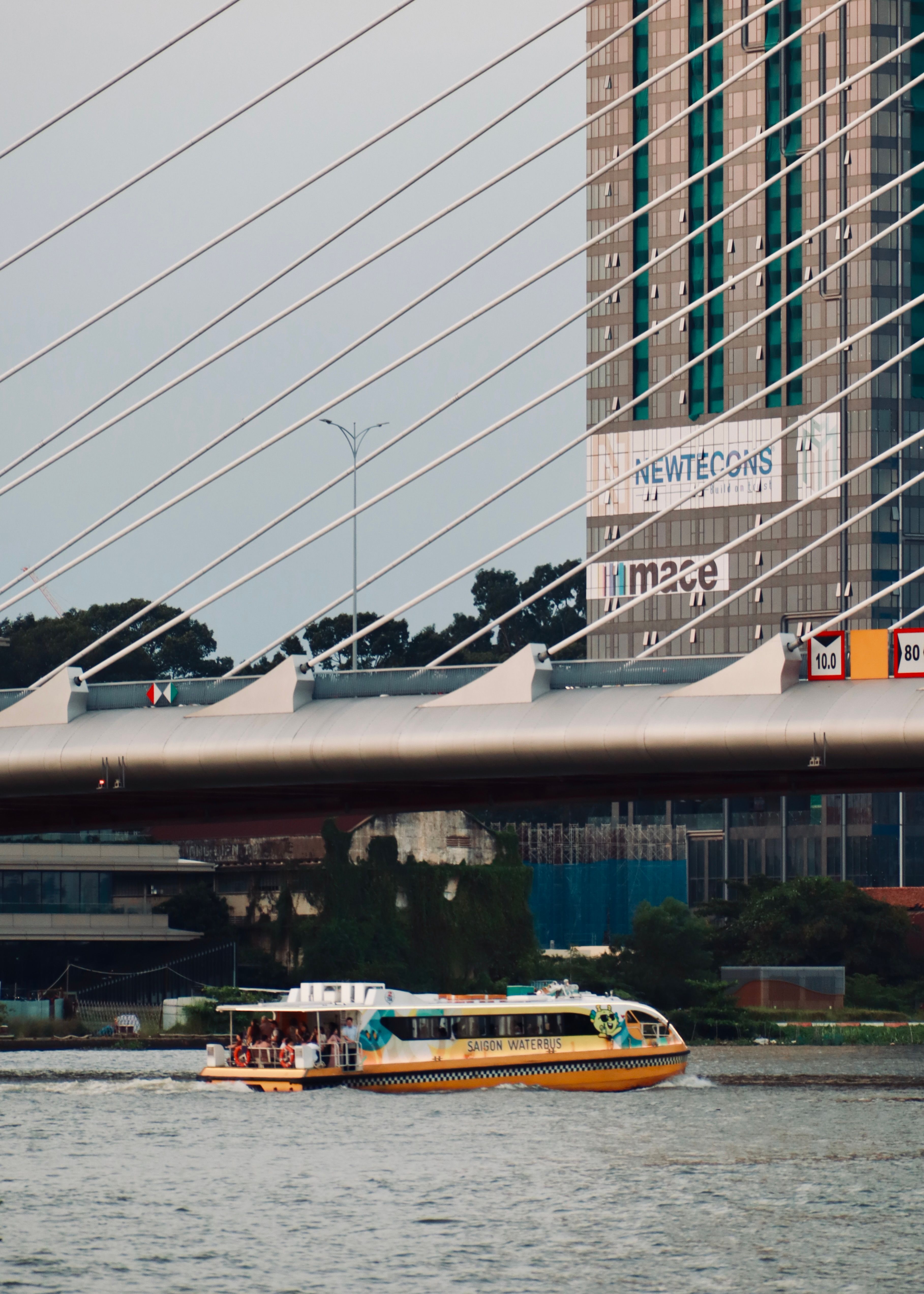 Scenic River Cruise under Modern Cable Bridge · Free Stock Photo