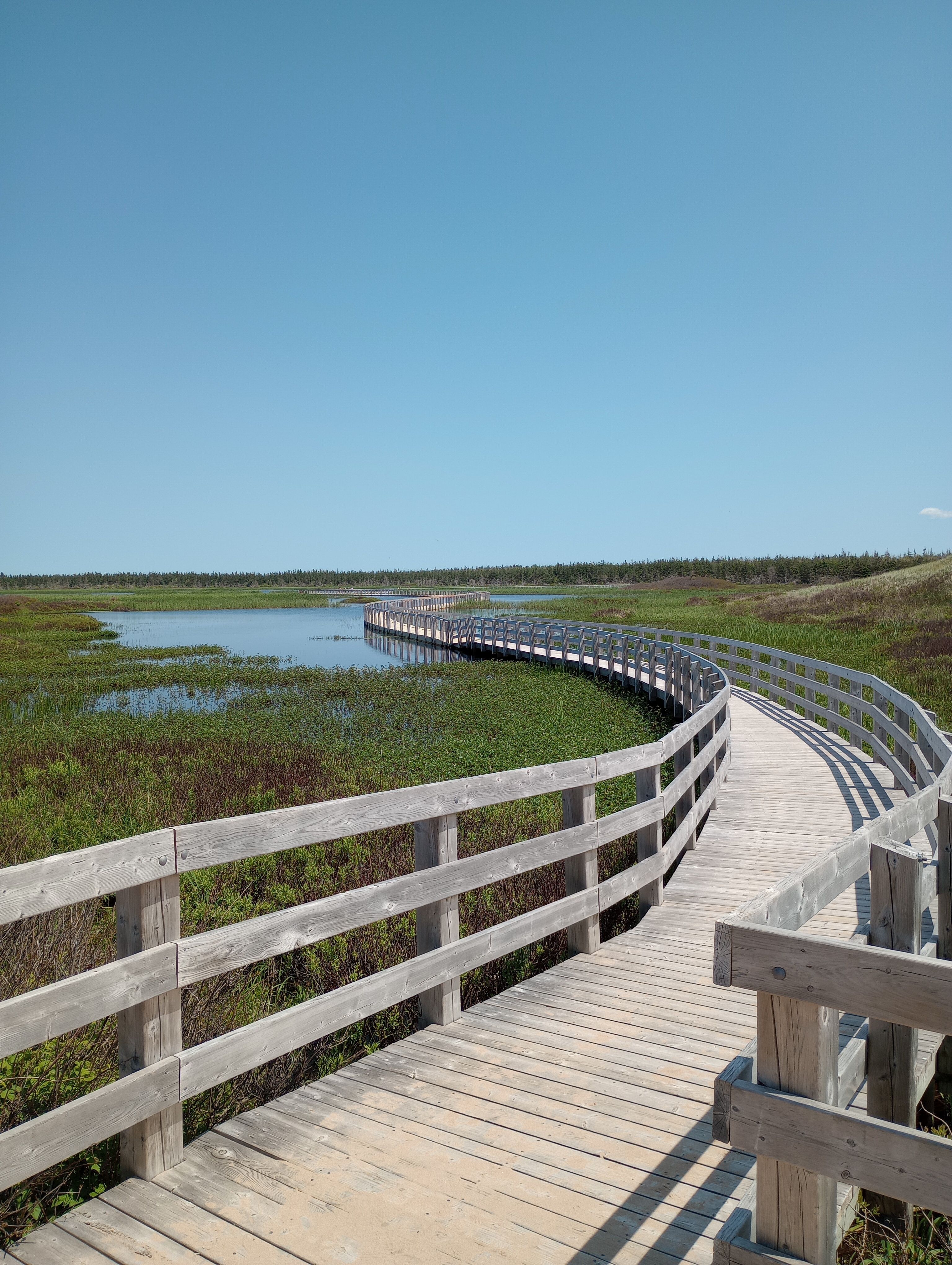 Lake Boardwalk Photos, Download The BEST Free Lake Boardwalk Stock ...