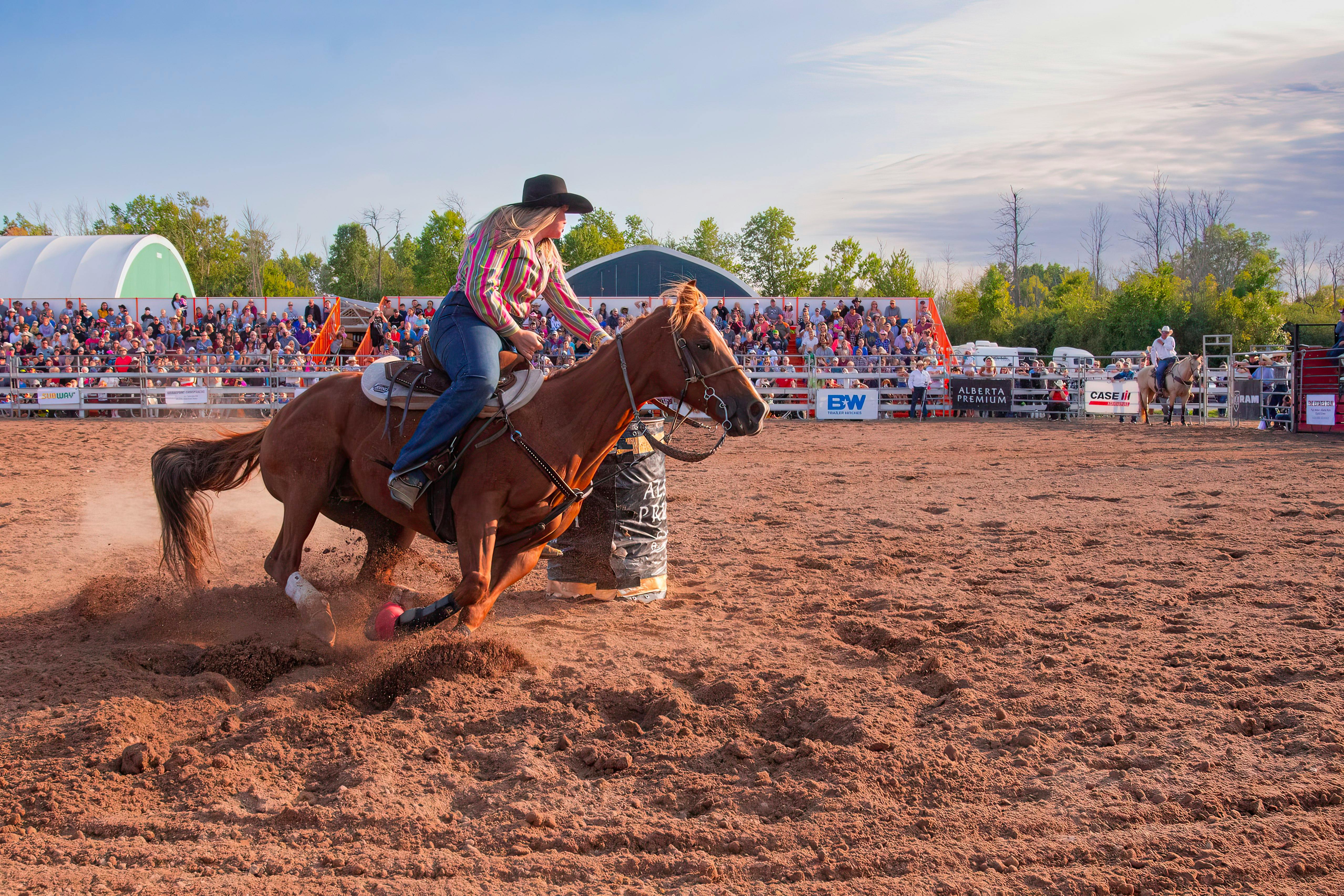 Cowgirl Barrel Racing at Outdoor Rodeo · Free Stock Photo