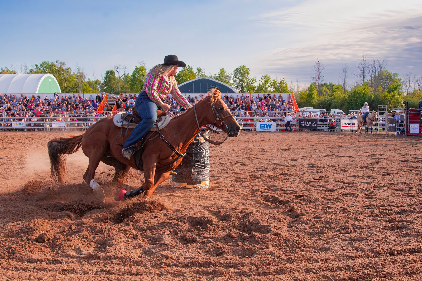 Barrel Racing Photos, Download The BEST Free Barrel Racing Stock Photos ...