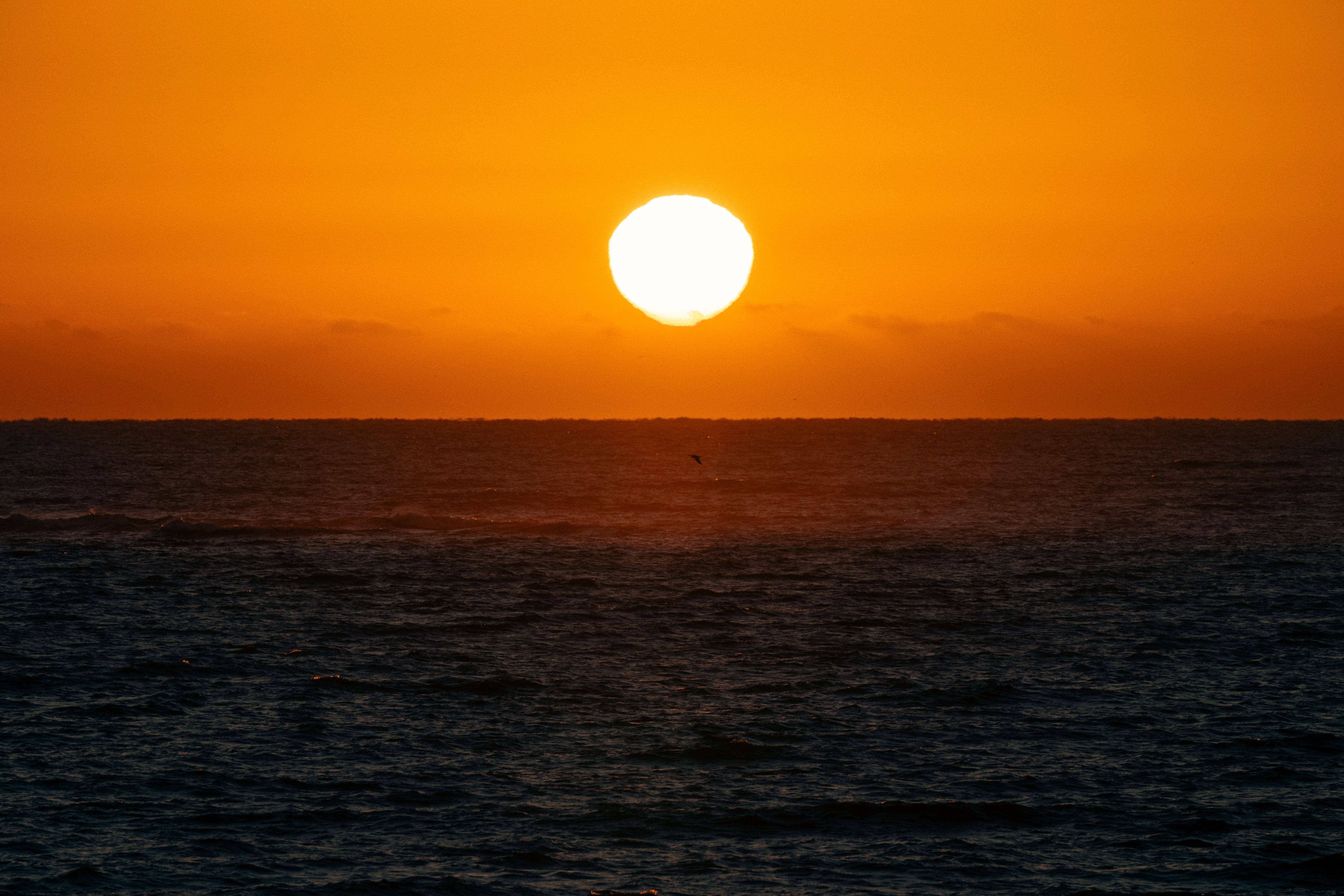 Stunning Ocean Sunset with Vibrant Orange Sky · Free Stock Photo