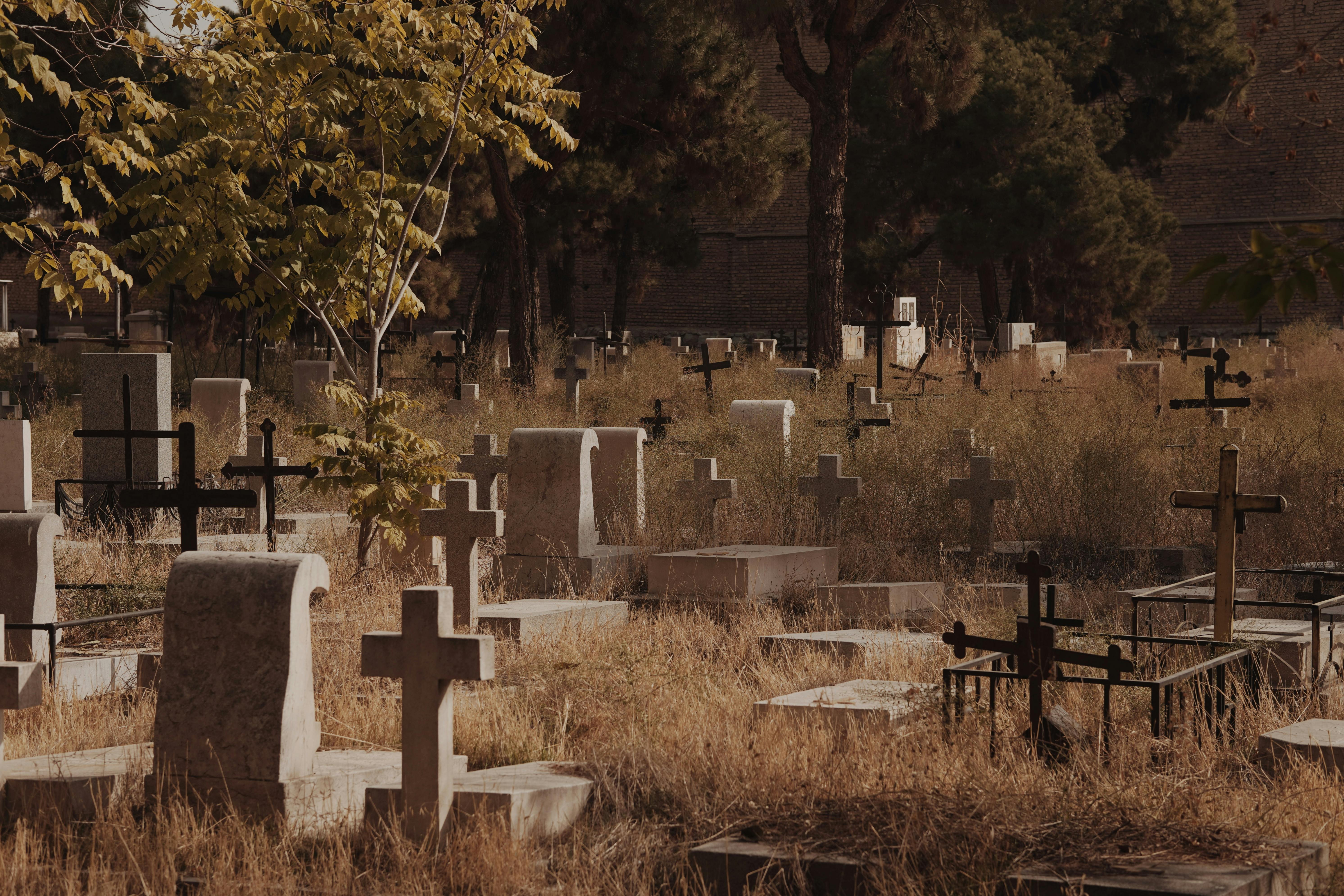Old cemetery with shabby tombstones and lush trees · Free Stock Photo