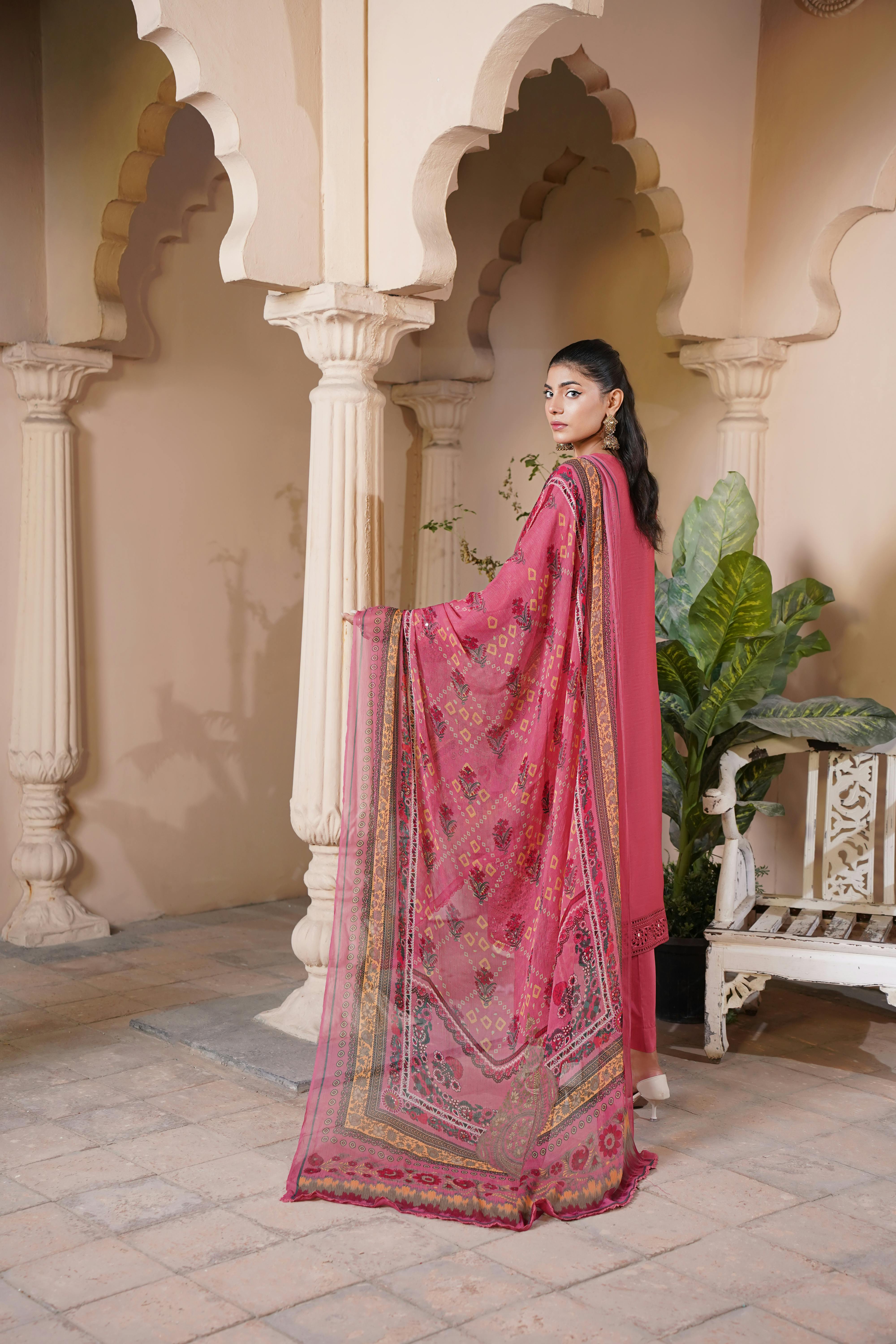 Elegant Pakistani Fashion Model in Traditional Dress · Free Stock Photo