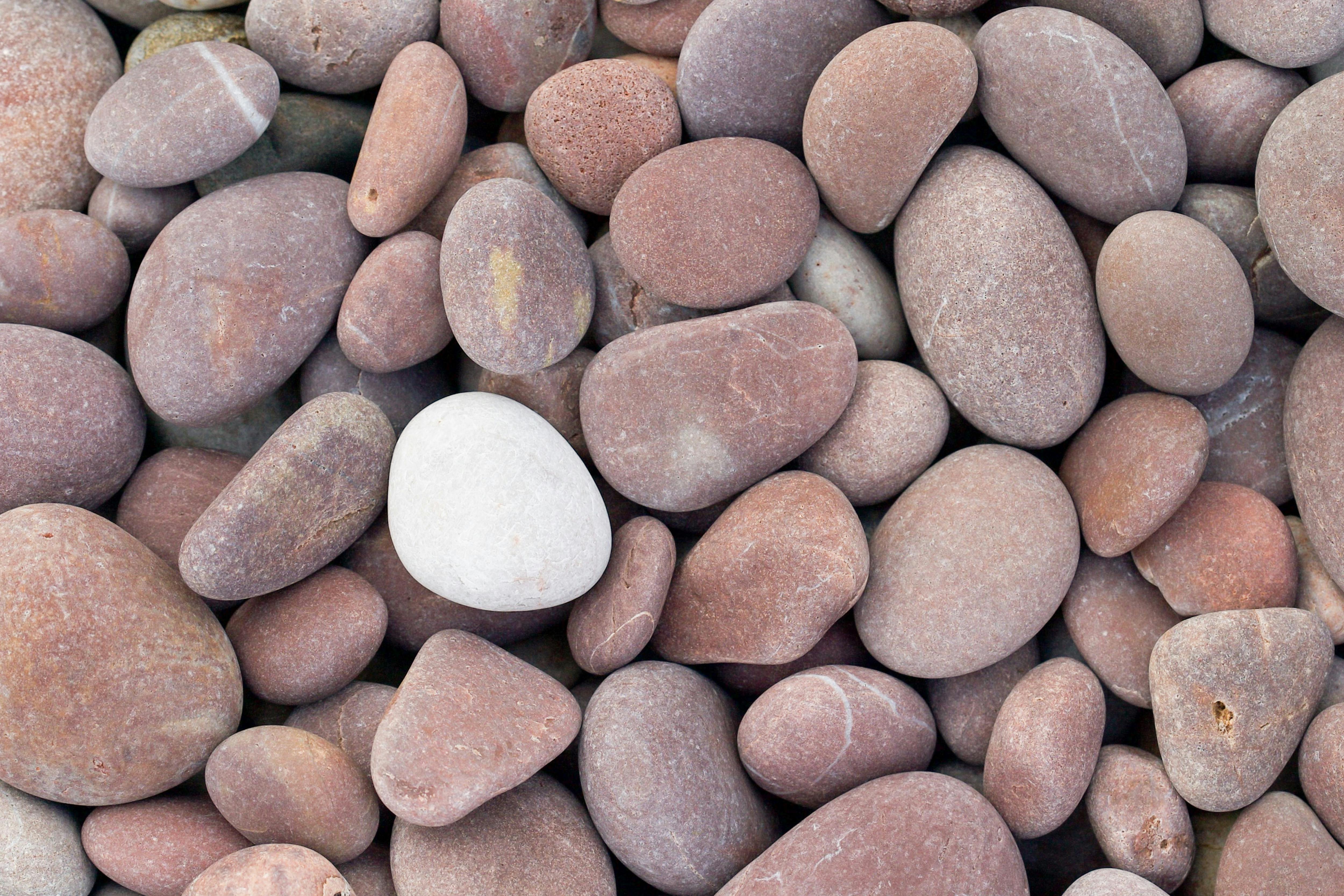 Smooth Multicolored Pebbles Close-Up Texture · Free Stock Photo