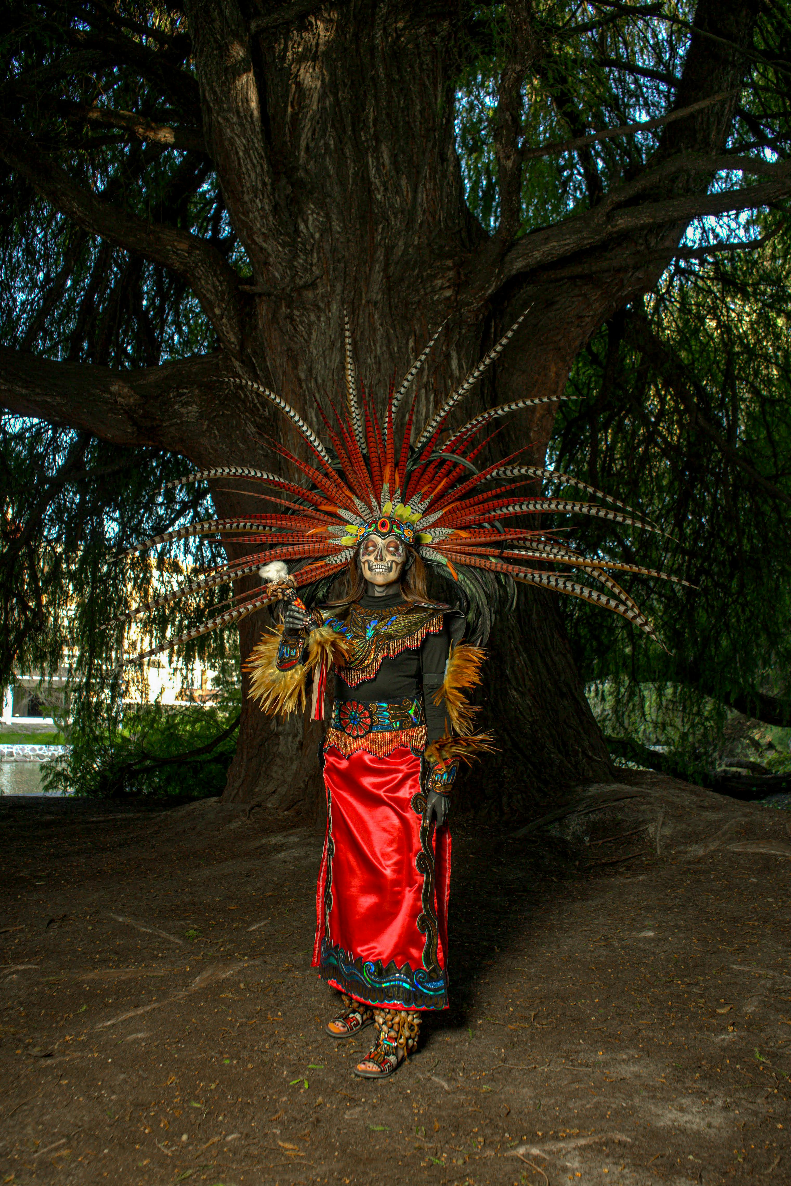 Traditional Aztec Costume in Forest Setting · Free Stock Photo