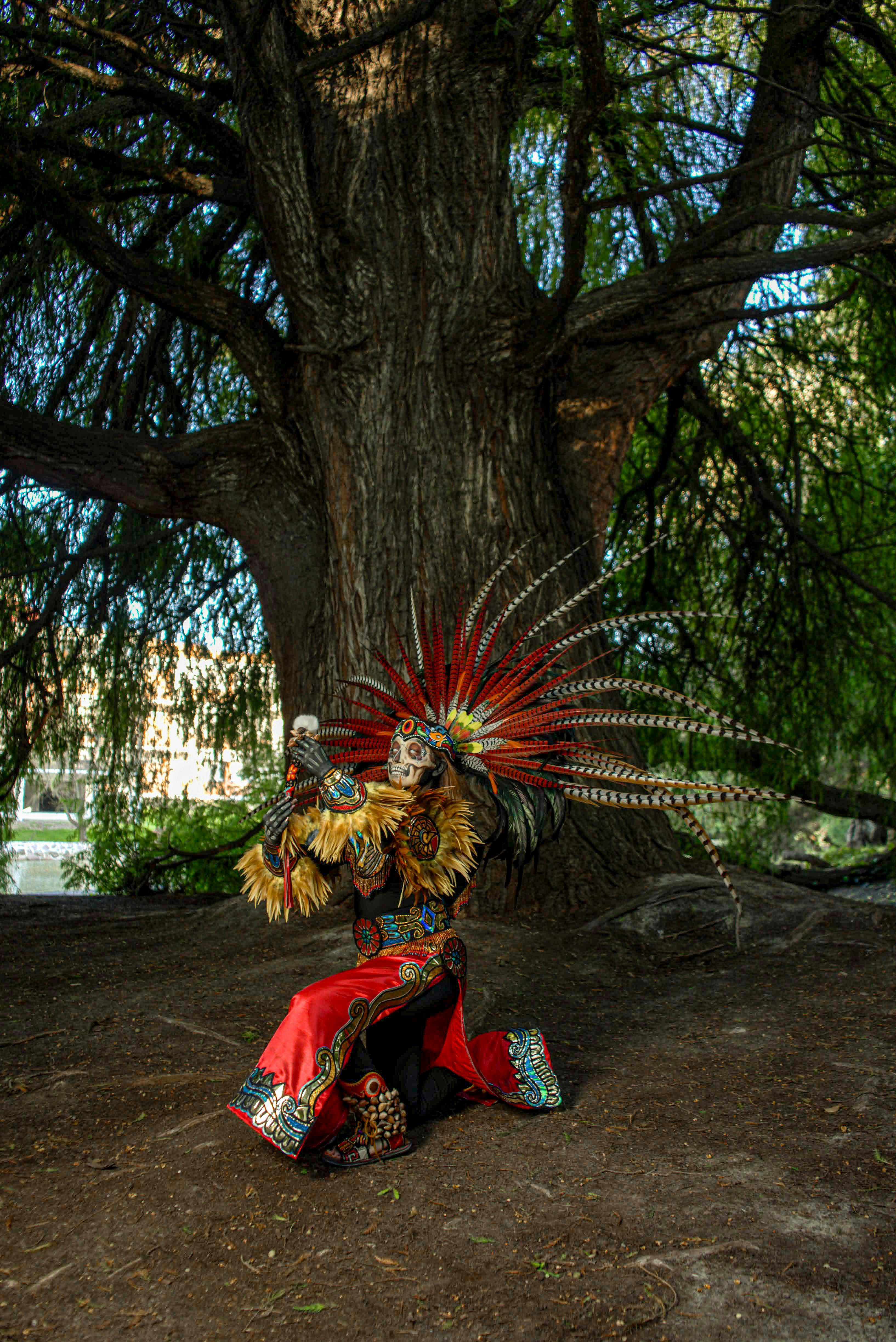Traditional Aztec Dance Costume in Forest Setting · Free Stock Photo