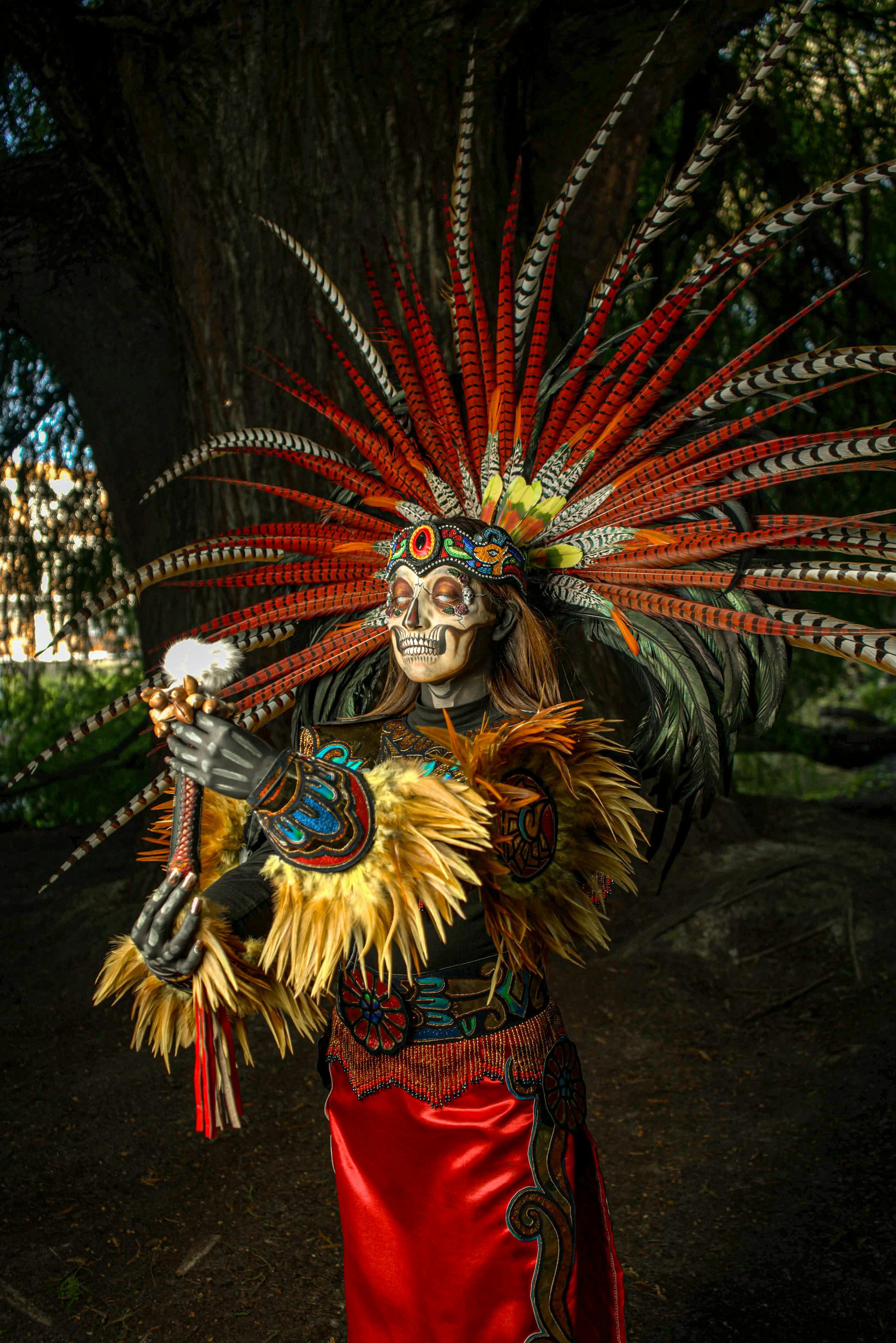 Colorful Traditional Costume with Feathered Headdress · Free Stock Photo